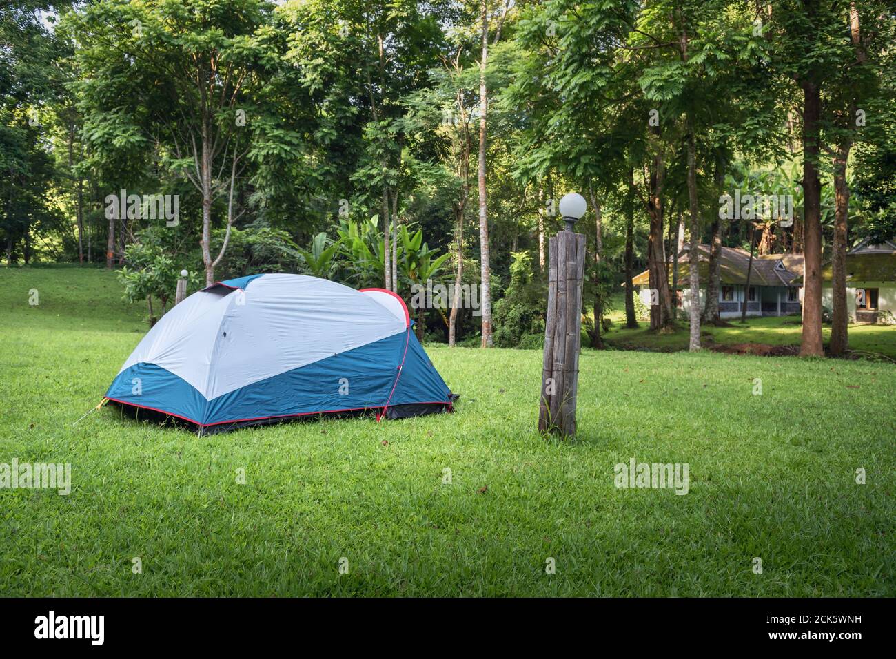 Camping Campsite and Tent on Green Grass Under The Trees Tropical ...