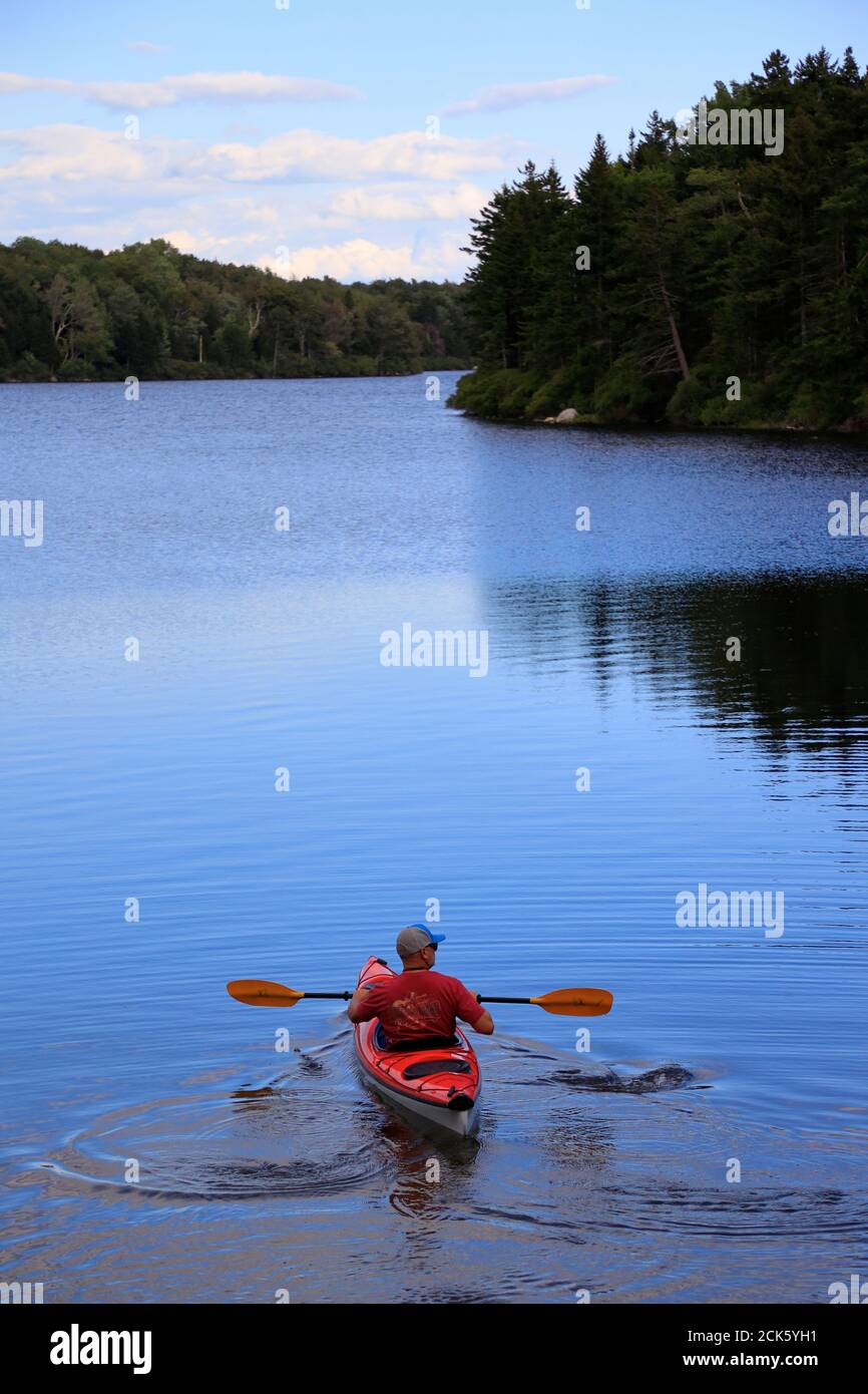 A visitor kayaking in Grout Pond.Grout Pond Recreation Area.Vermont.USA ...