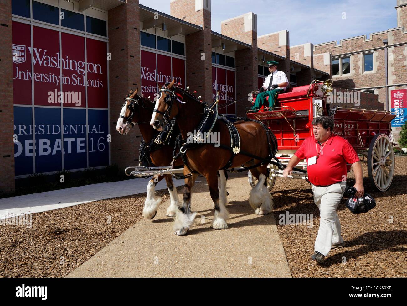 Budweiser Clydesdale Horses High Resolution Stock Photography and ...