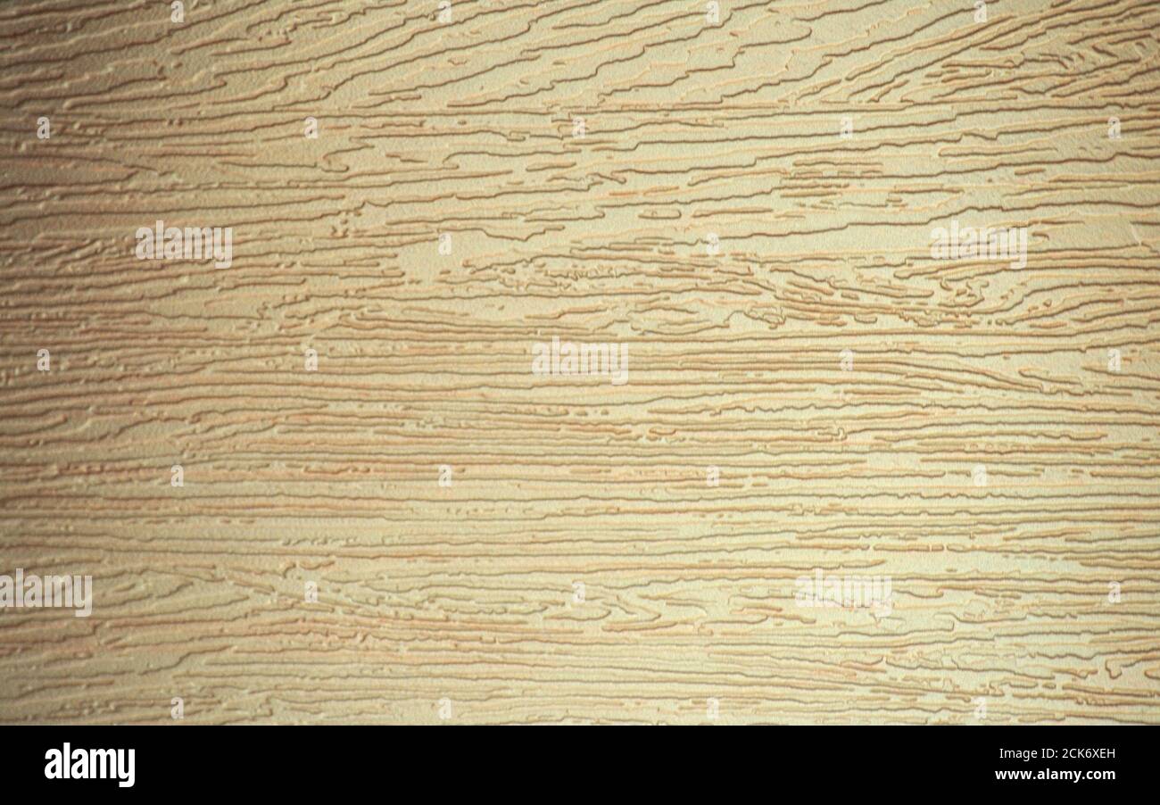 Lightened beech, a natural wood grain with a rich pattern and a ...