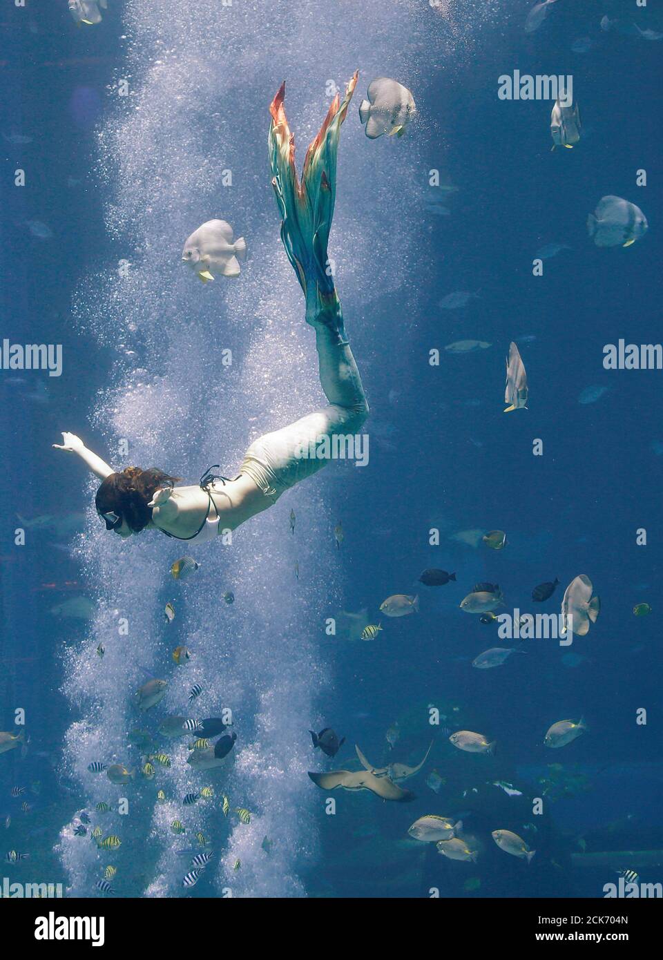 Mermaid lagoon hi-res stock photography and images - Alamy