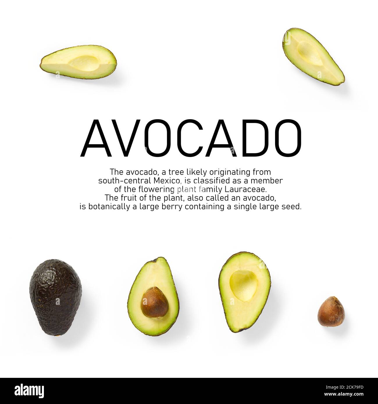 Modern creative avocado collage with simple text on solid color ...