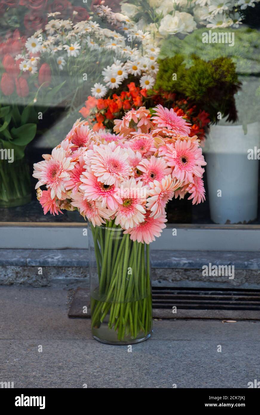 Beautiful pink gerbera flowers in the vase Stock Photo - Alamy