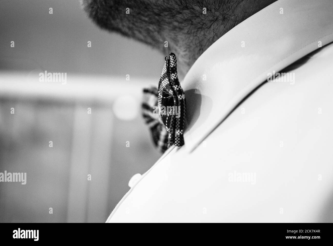 Grayscale shot of a male wearing a shirt with a bow Stock Photo - Alamy