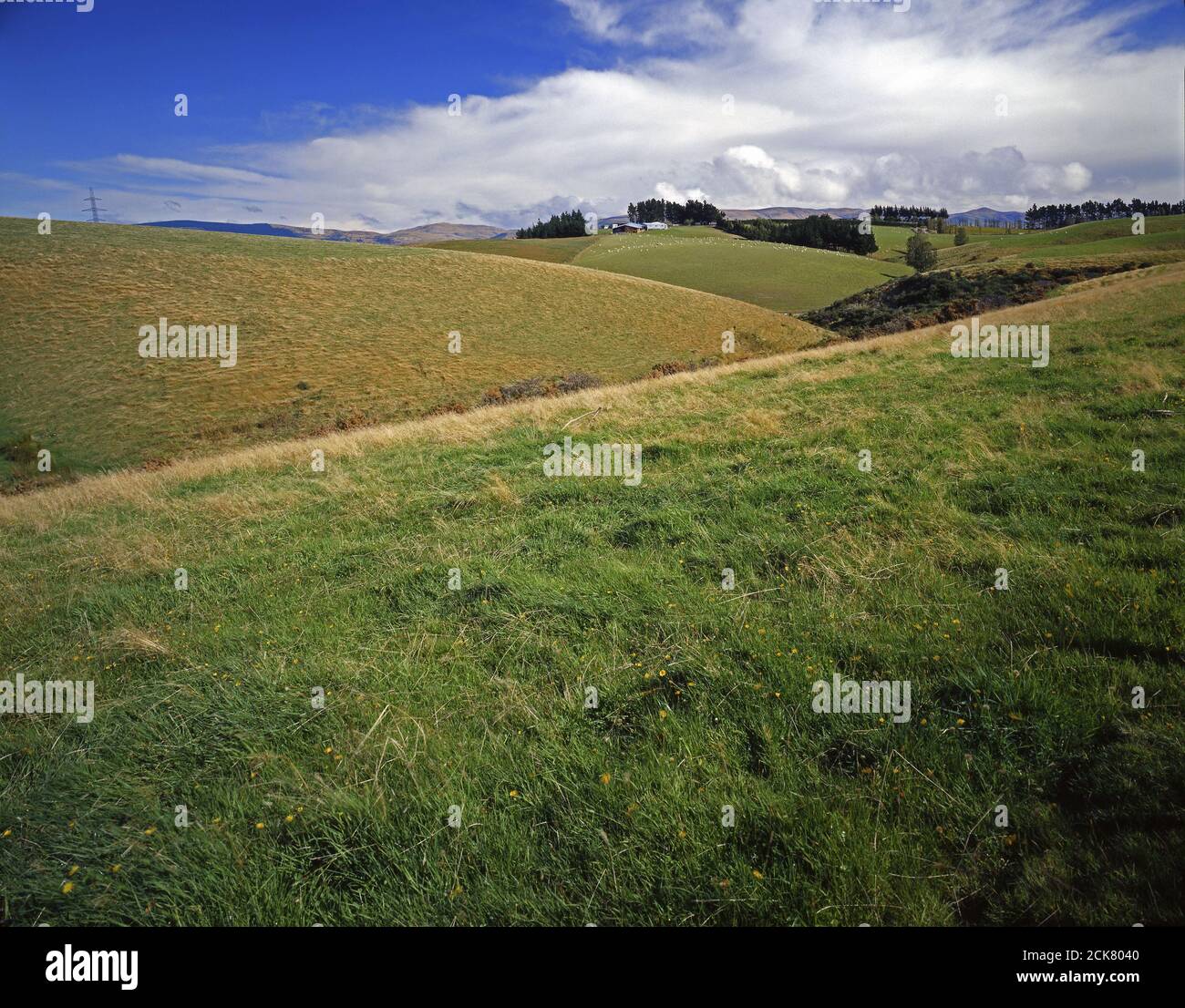 New Zealand South Island Clinton Stock Photo - Alamy