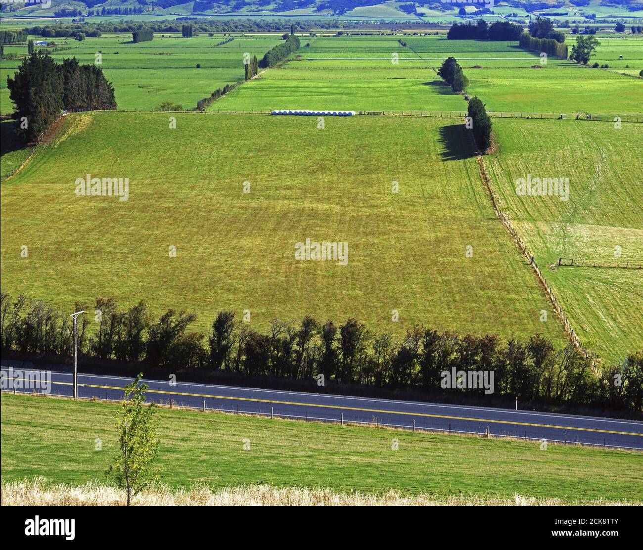 New Zealand South Island Henley Rural Ranch Stock Photo - Alamy