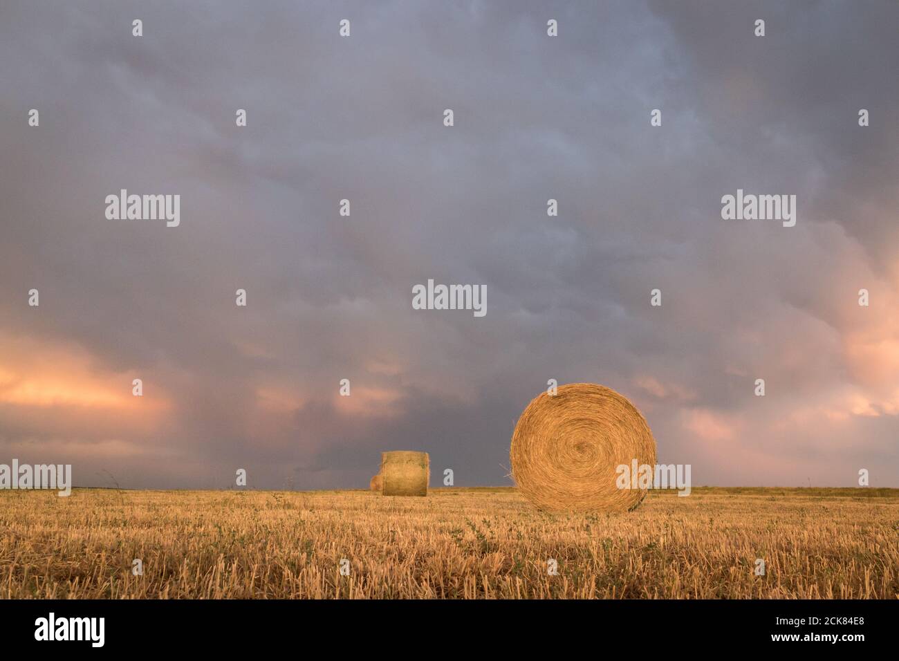 Rolled round bale bales hi-res stock photography and images - Alamy
