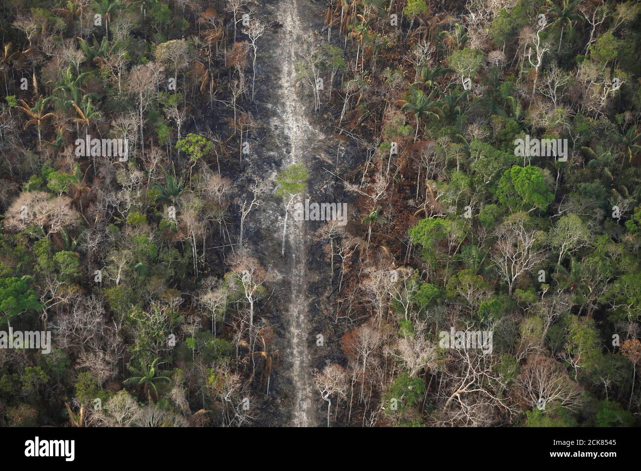 Amazon Rainforest Fire Aerial High Resolution Stock Photography and ...