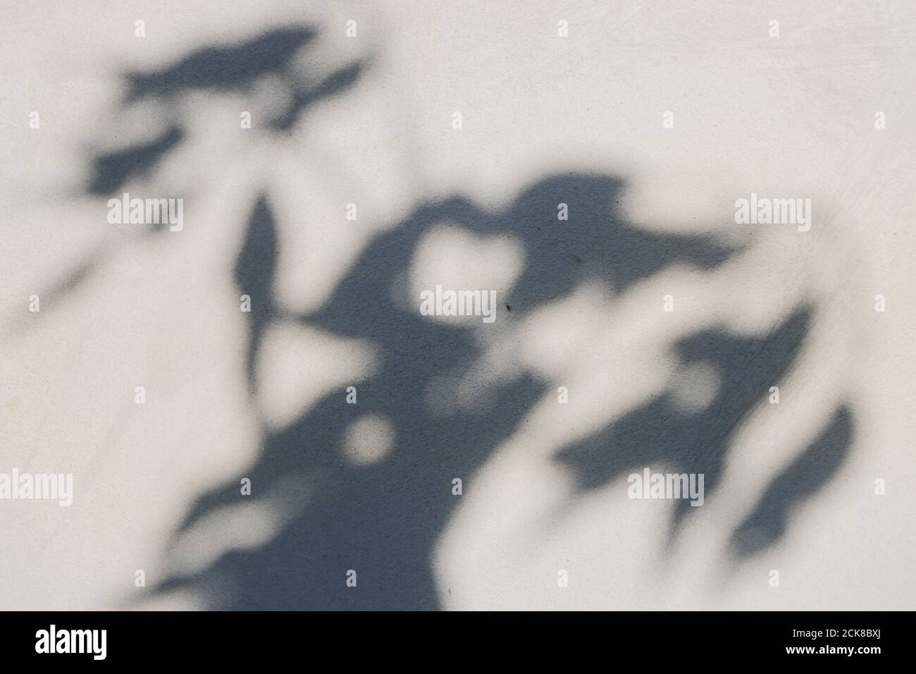 abstract background texture of shadows leaf on a concrete wall Stock ...