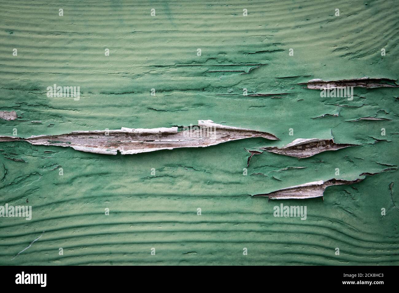 Painted board with peeling paint. Aging process and the effects of ...