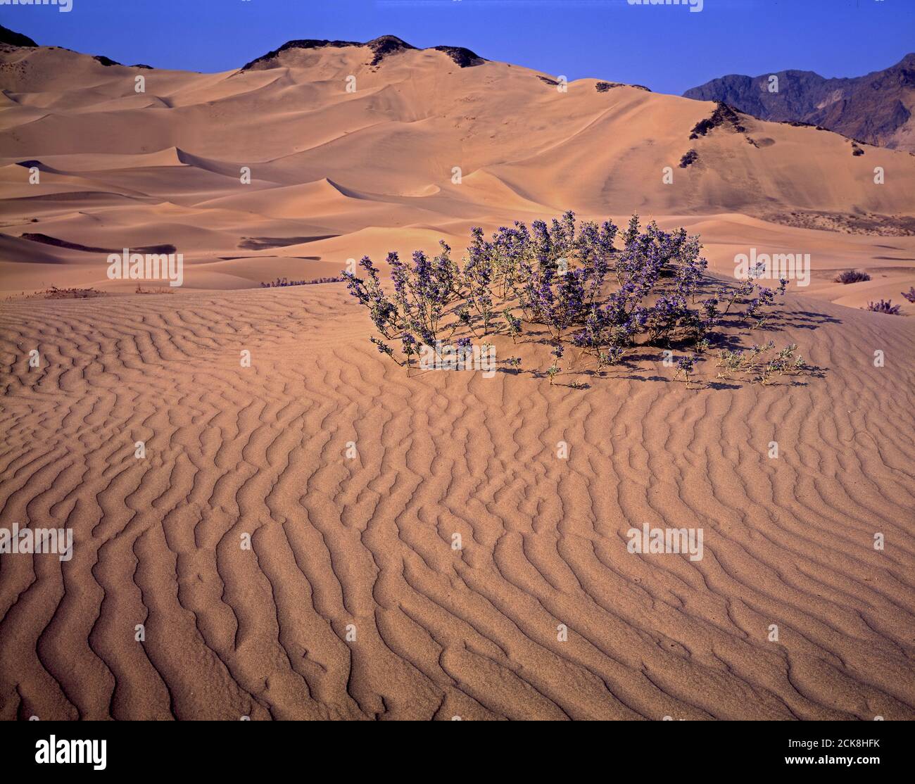 Xigaze sand dune scenery hi-res stock photography and images - Alamy