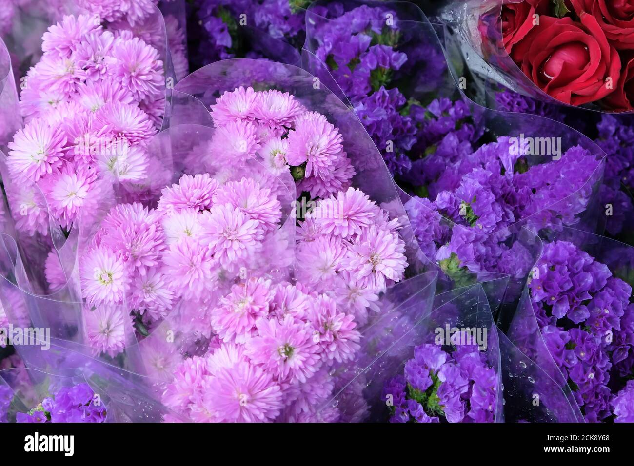 Purple statice flowers hi-res stock photography and images - Alamy