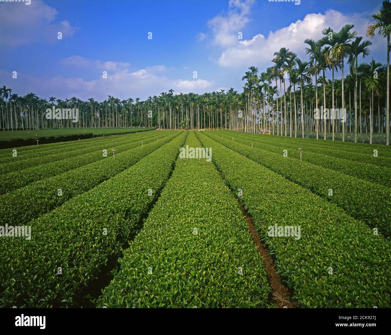 The eight diagrams hi-res stock photography and images - Alamy
