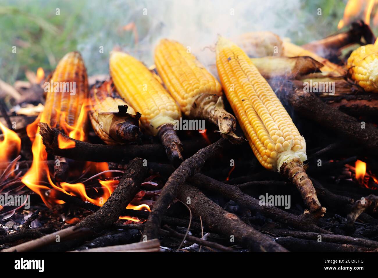 Maize on the bbq hi-res stock photography and images - Alamy