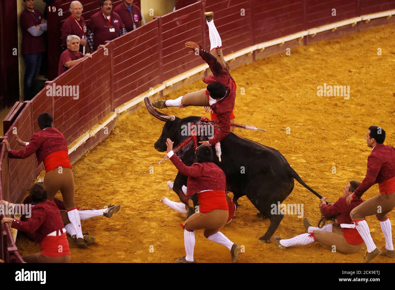 Forcados hi-res stock photography and images - Alamy