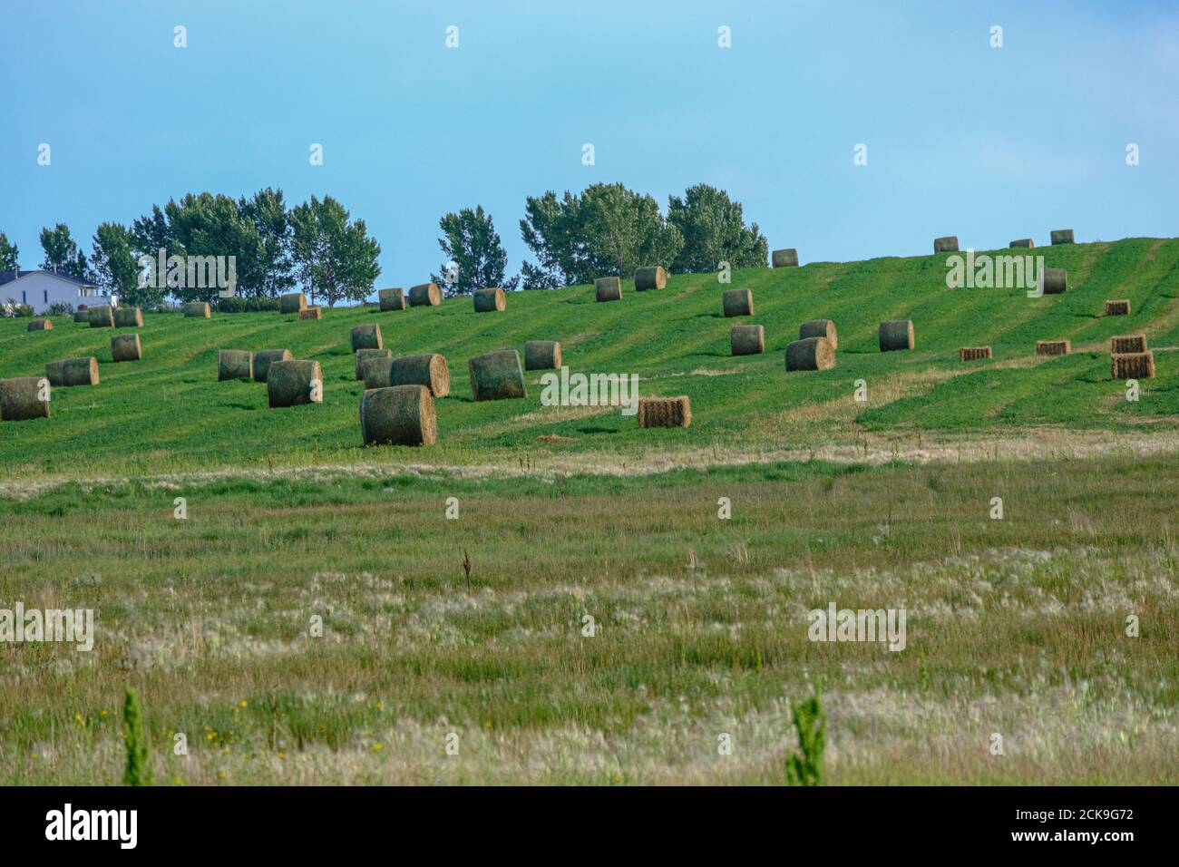 Alberta harvest hi-res stock photography and images - Alamy