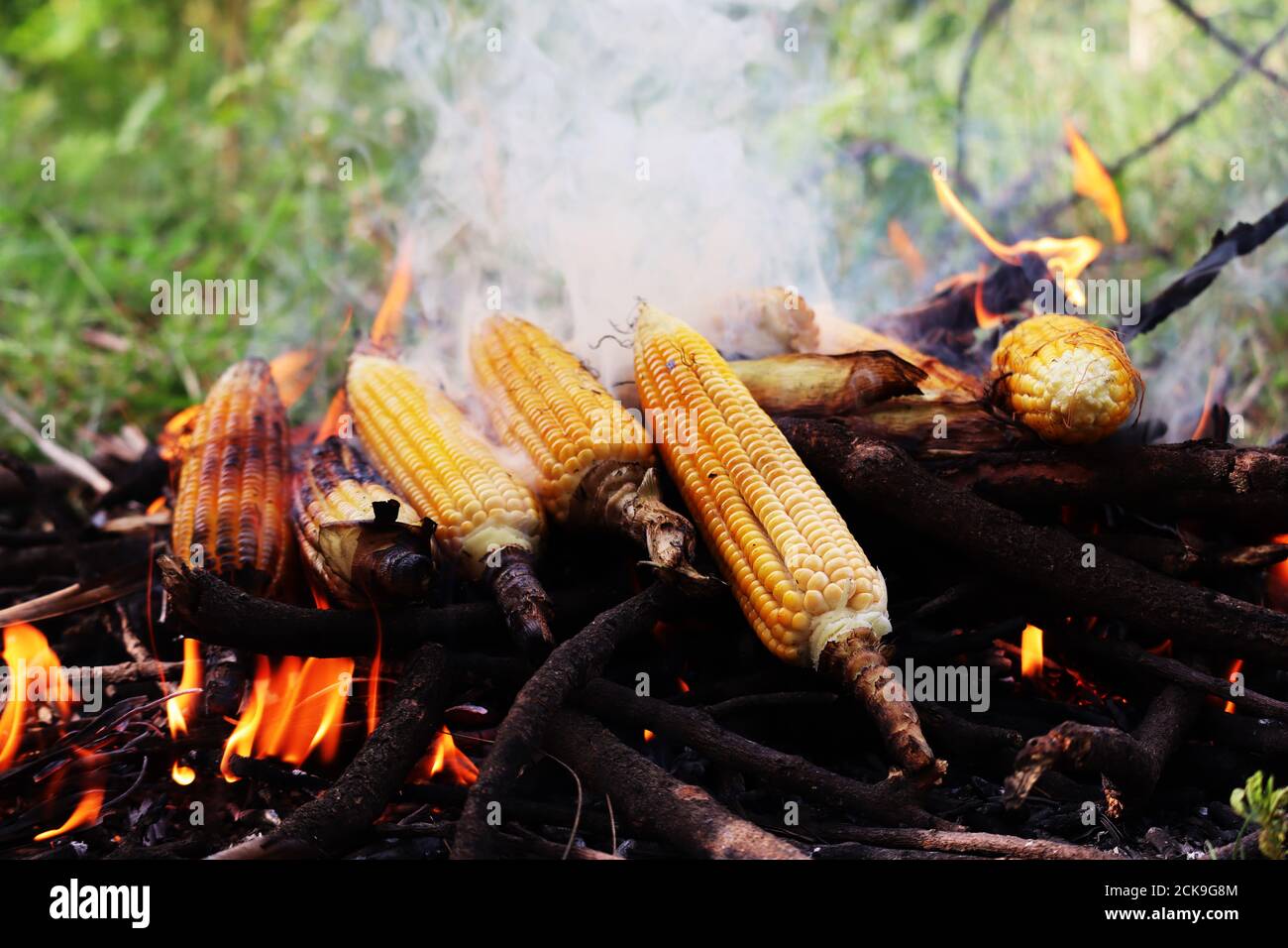 Roasted maize hi-res stock photography and images - Alamy