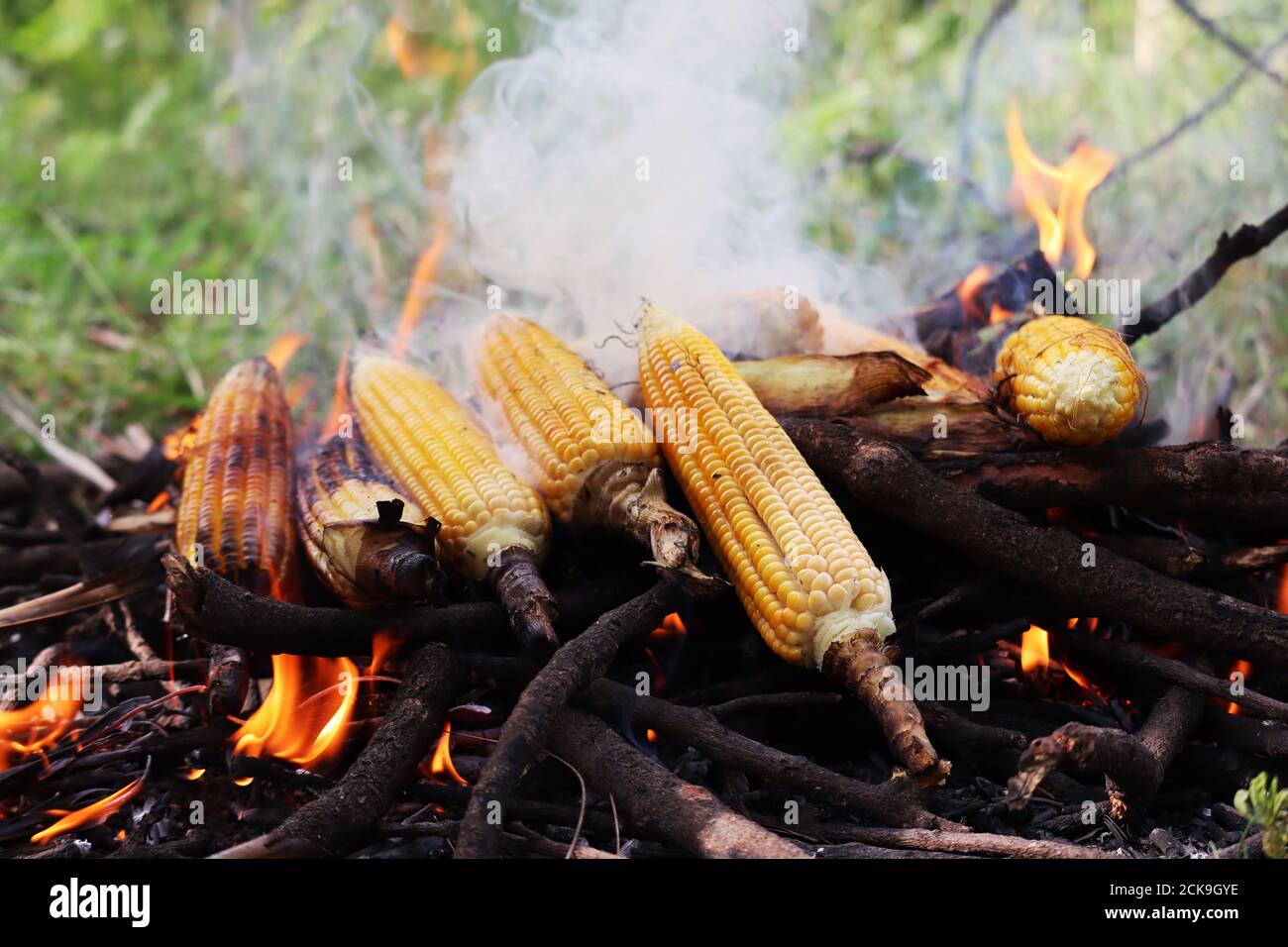 Maize grilled on coal Stock Photo - Alamy