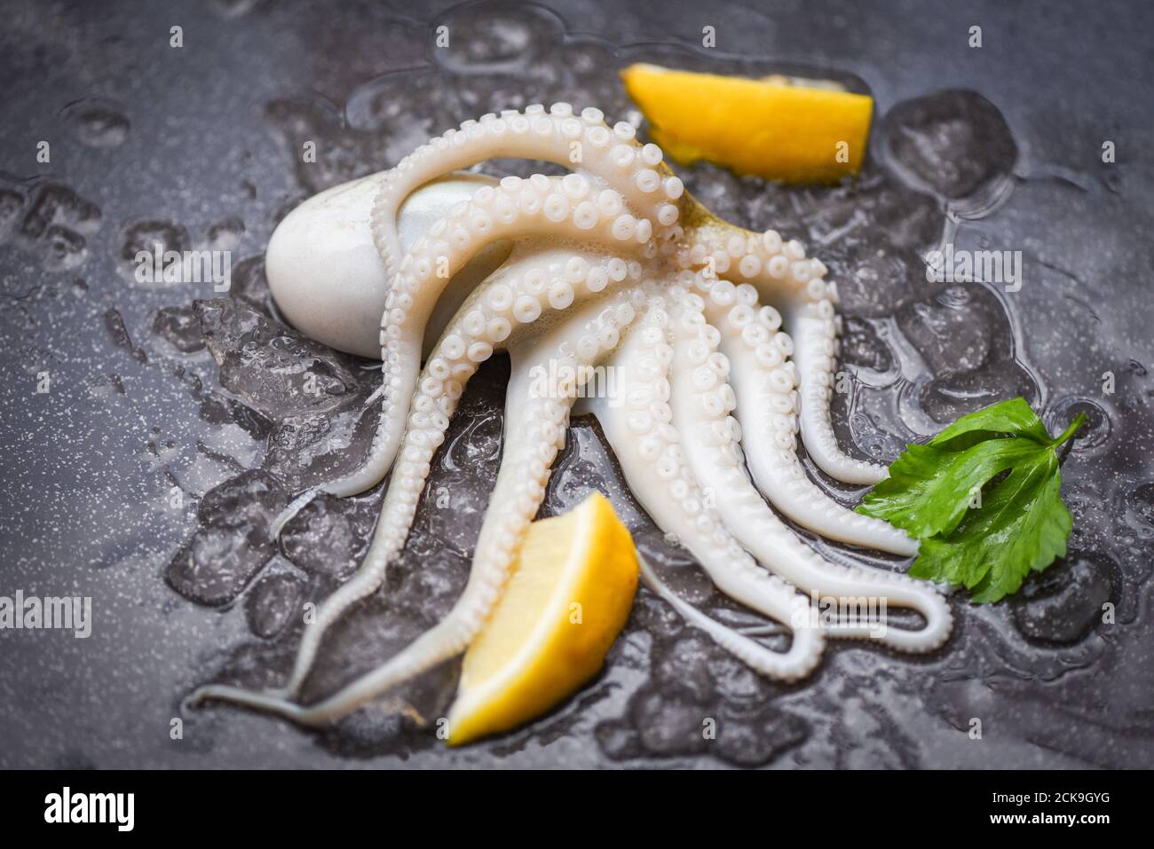 Fresh squids octopus or cuttlefish for cooked food salad restaurant ...