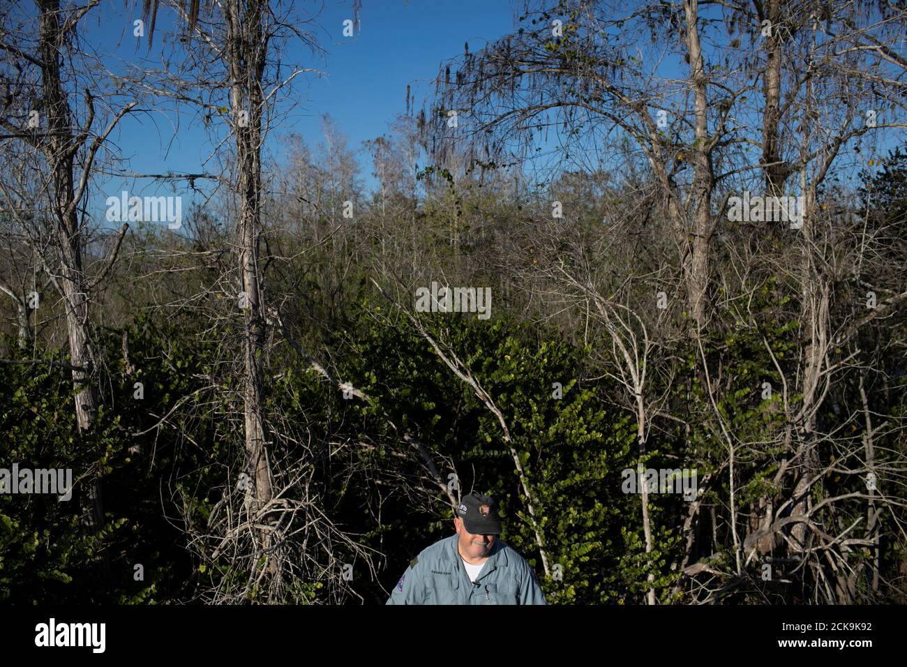 Everglades florida burmese hi-res stock photography and images - Alamy