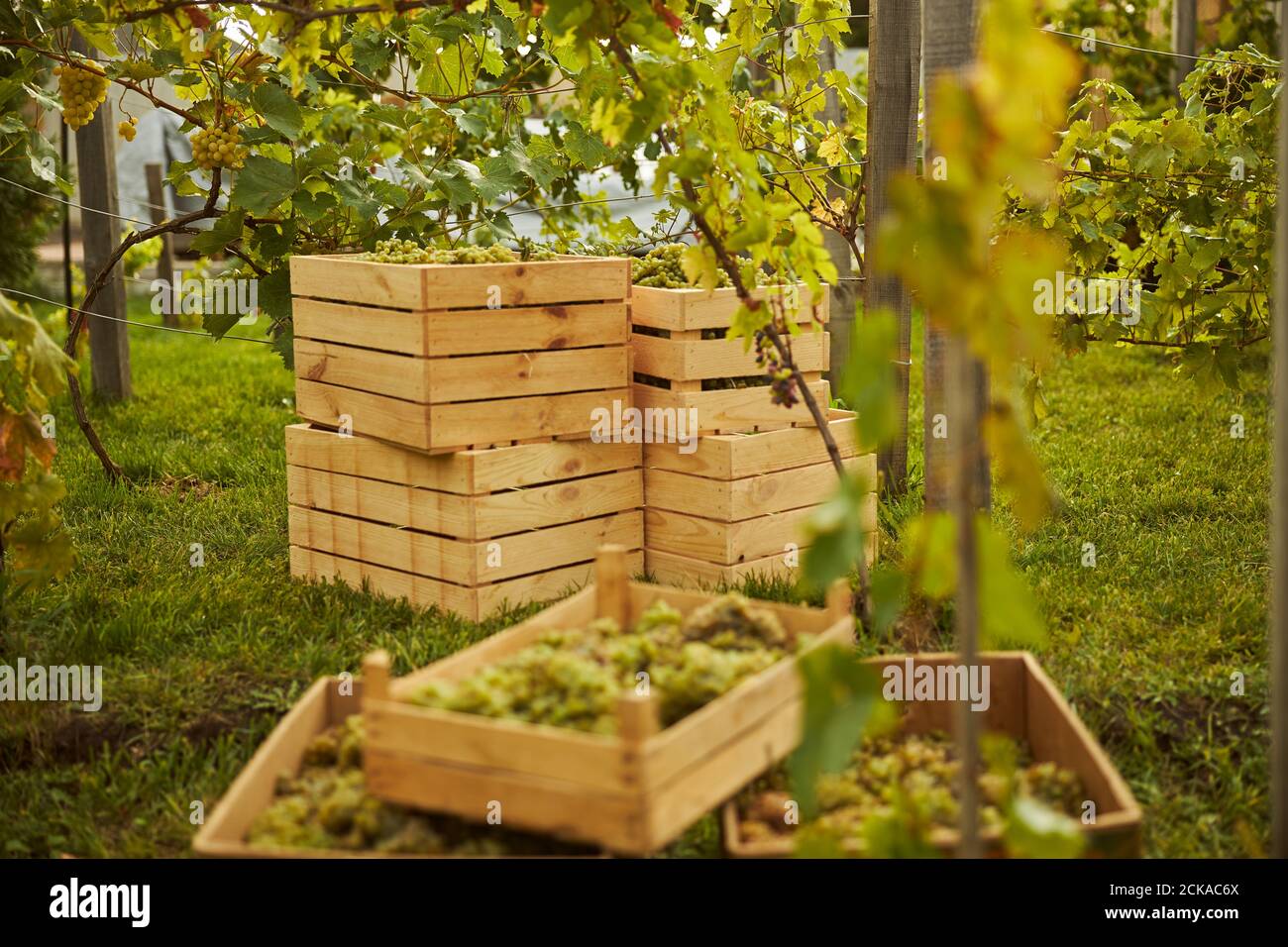 Stacks of fruit boxes hi-res stock photography and images - Alamy