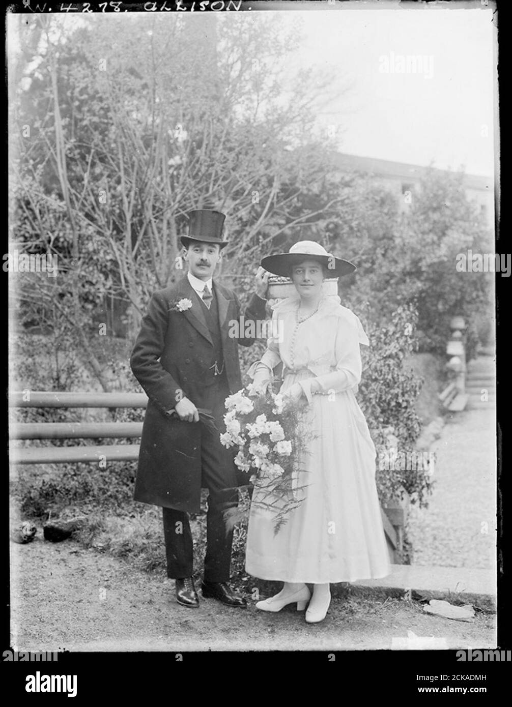 Allison white hi-res stock photography and images - Alamy