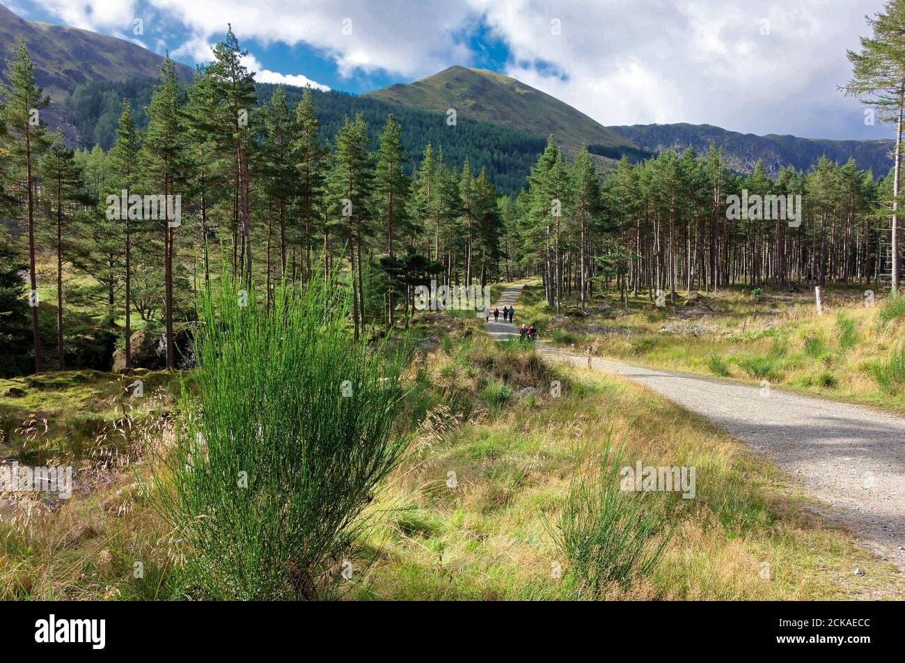 The path to the Corrie Fee, Glen Clova, near Kirriemuir, Angus ...