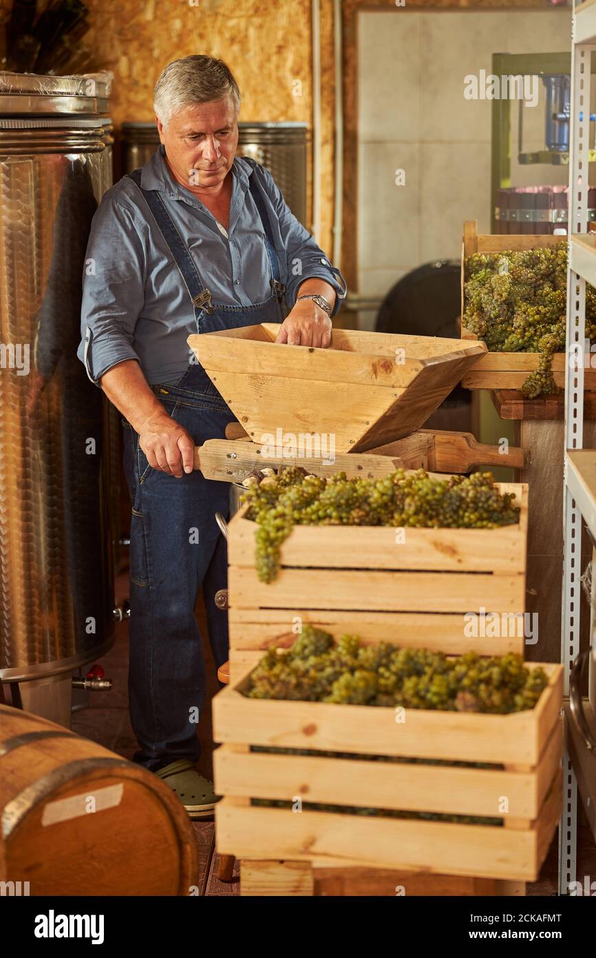 Winery worker preparing a press for crushing grapes Stock Photo - Alamy