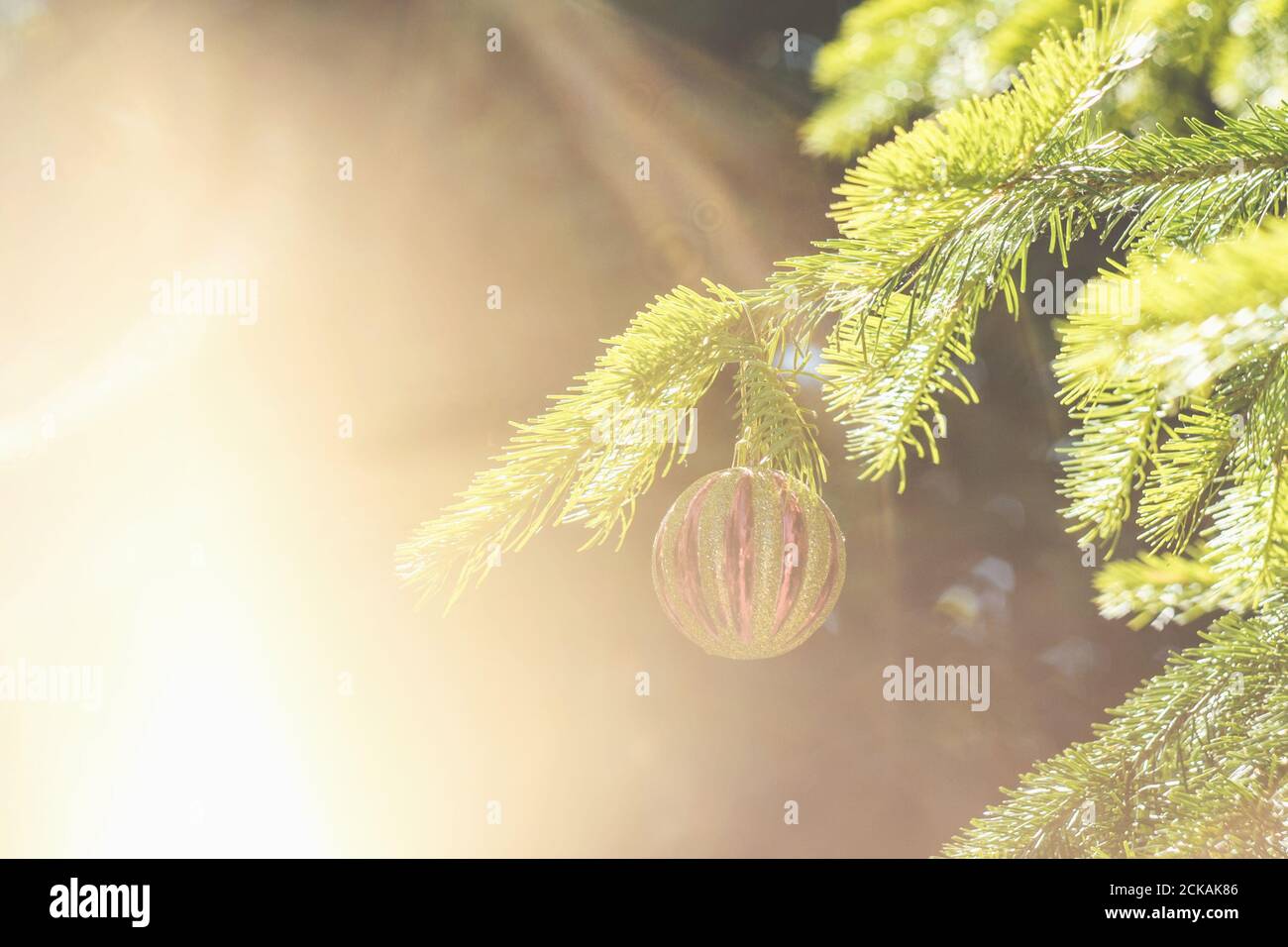 Red golden christmas ball hanging on a branch. Decorations on the ...