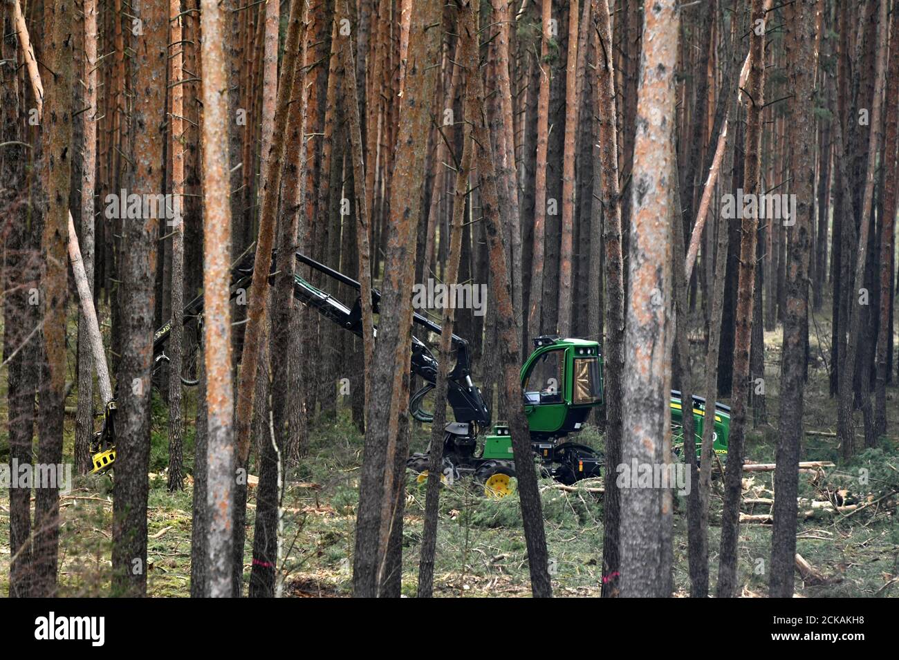 Tesla gigafactory berlin hi-res stock photography and images - Alamy