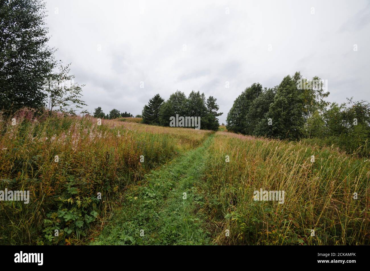 Wet field hi-res stock photography and images - Alamy