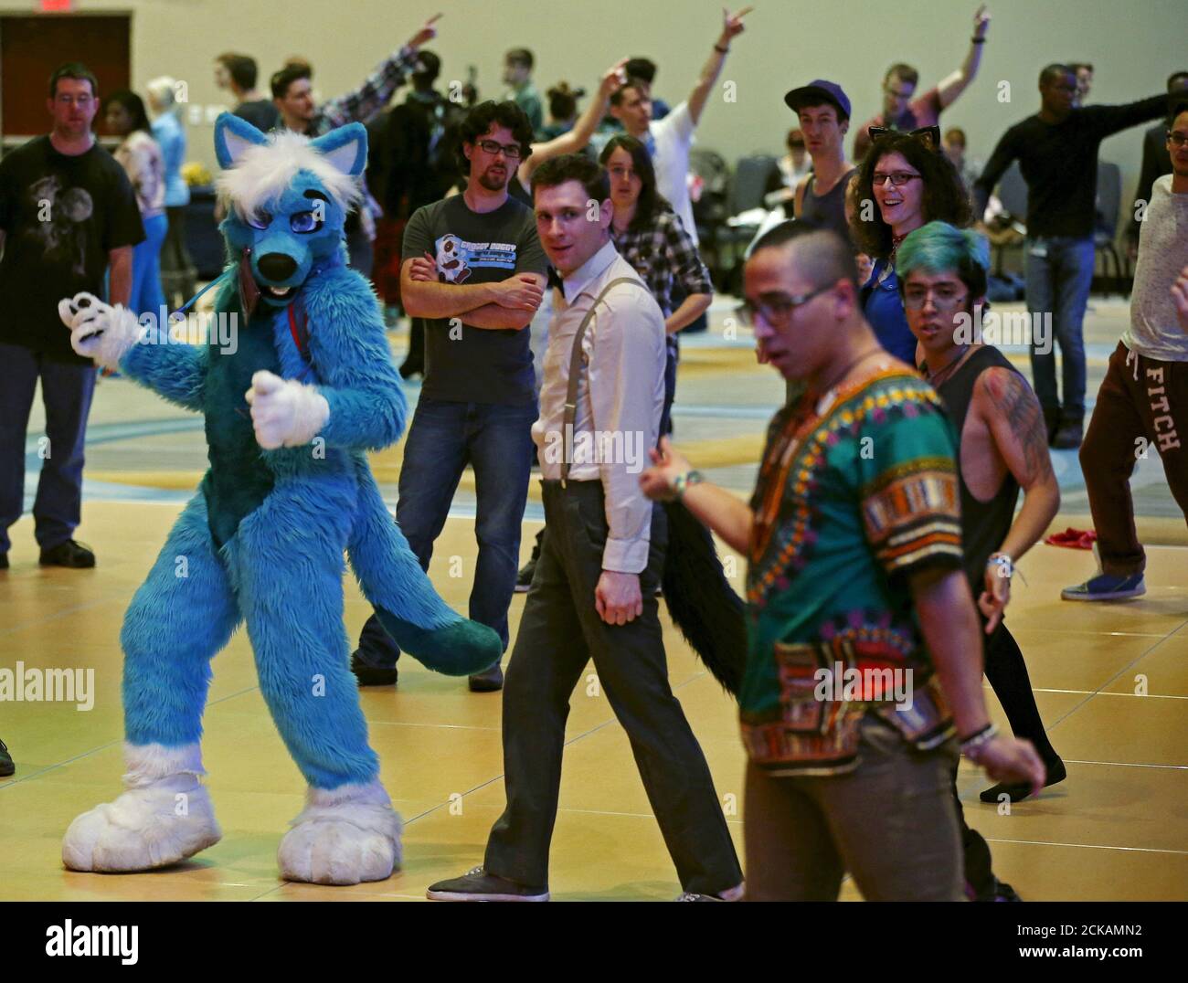 Furfest hi-res stock photography and images - Alamy