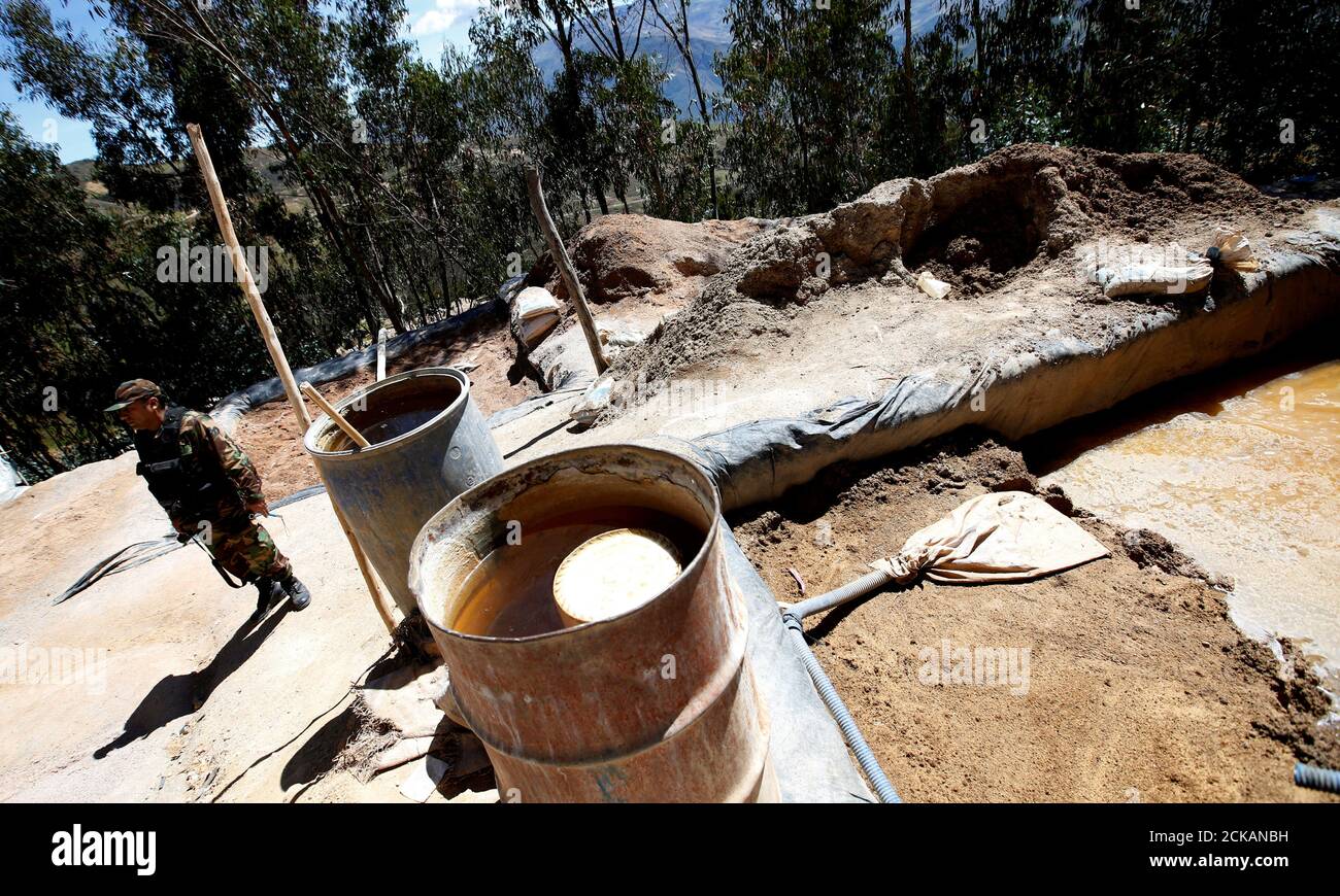 Salpo hi-res stock photography and images - Alamy