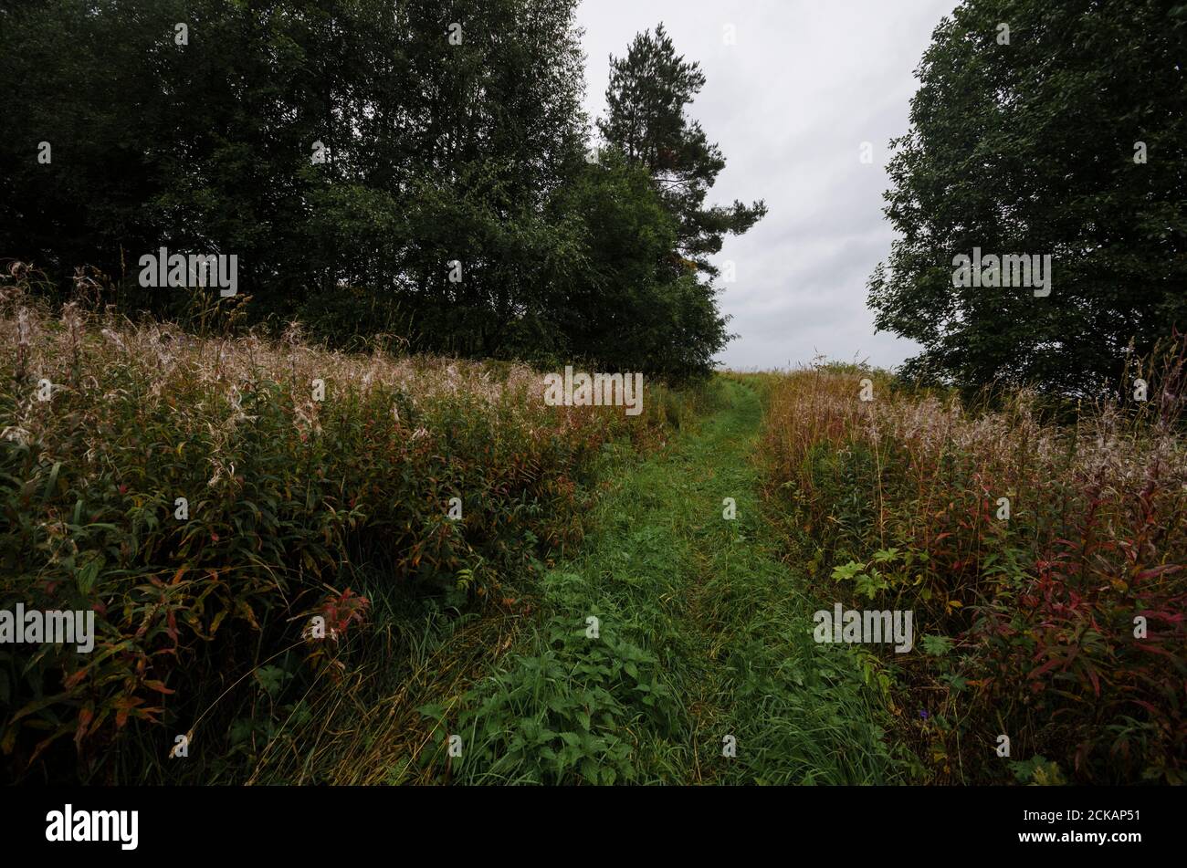 Wet field hi-res stock photography and images - Alamy