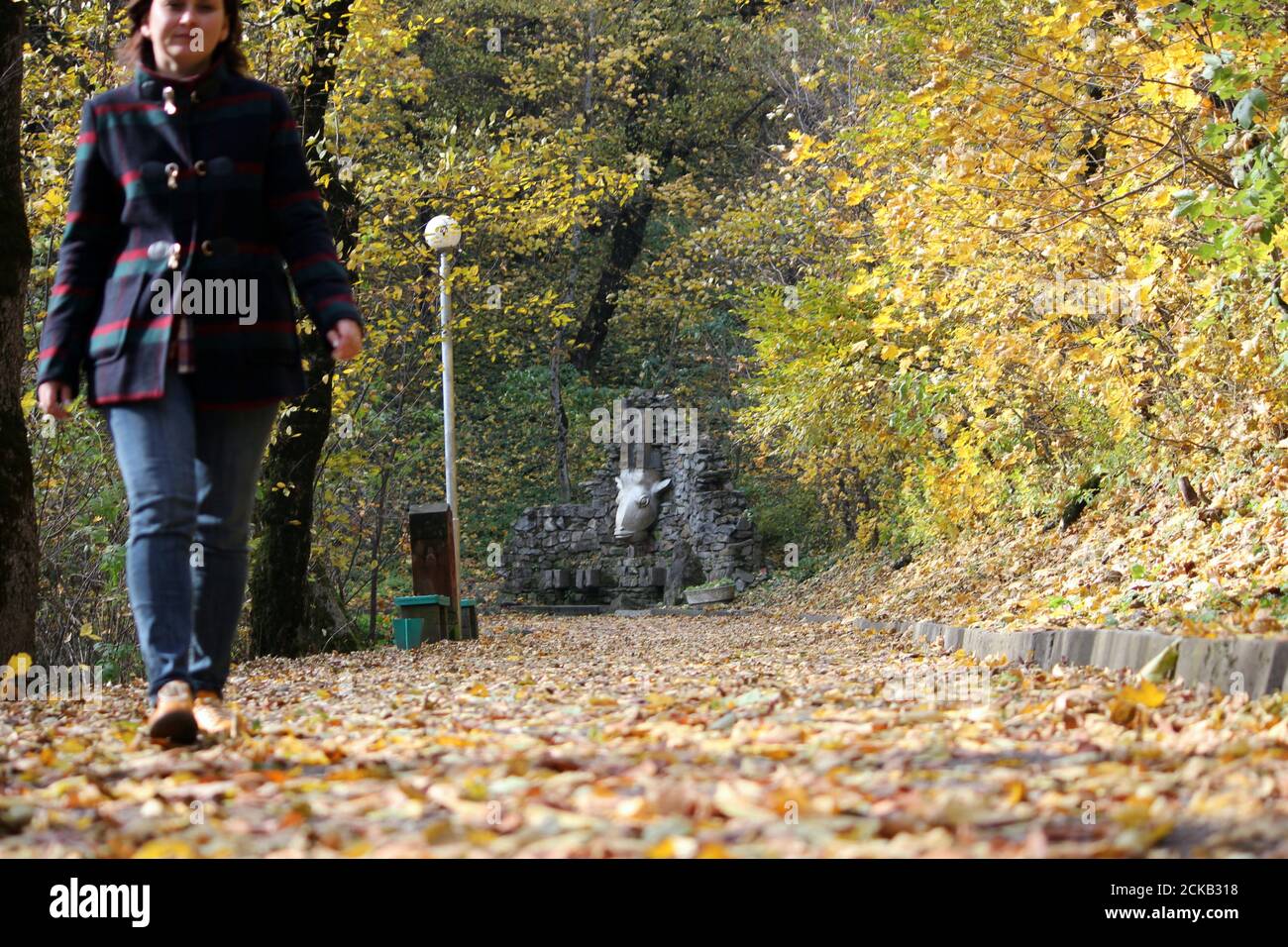 Girl walking alone in forest hi-res stock photography and images - Alamy