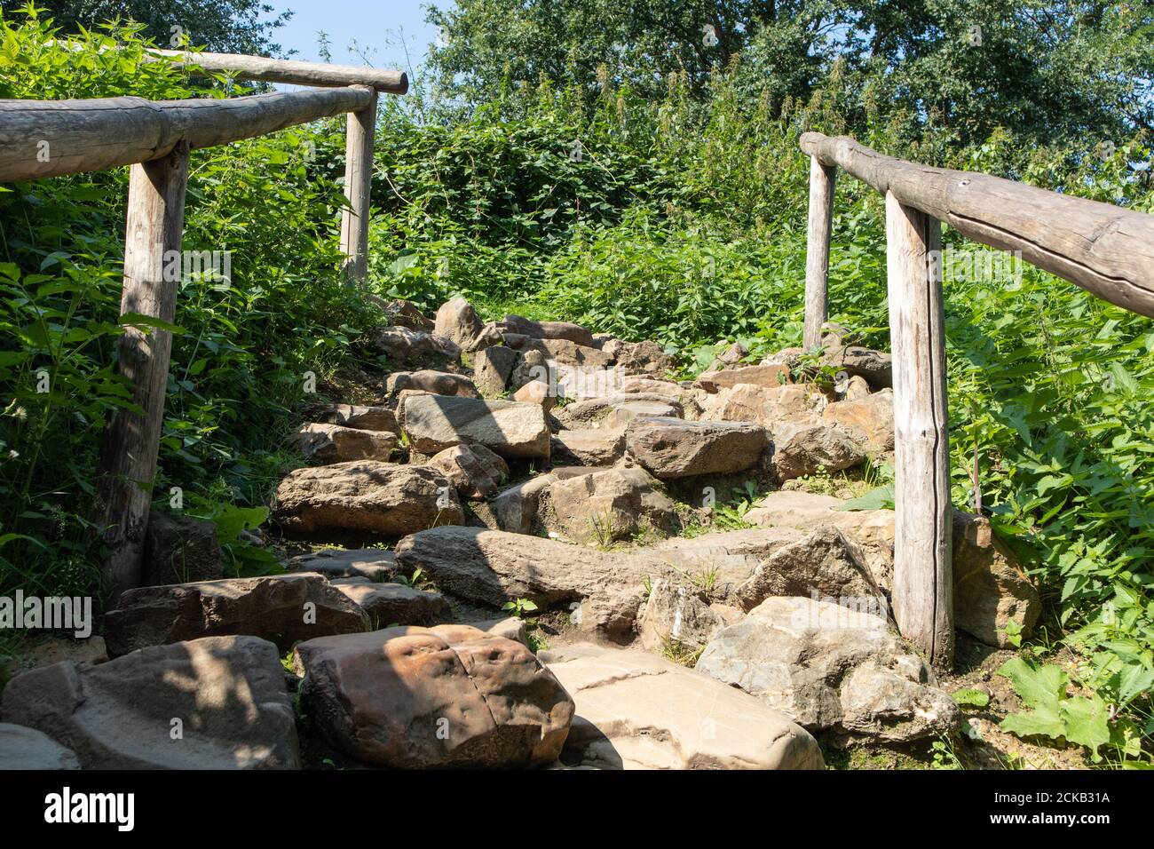 Sunny scenery of a pathway in the forest with rocky ground Stock Photo ...