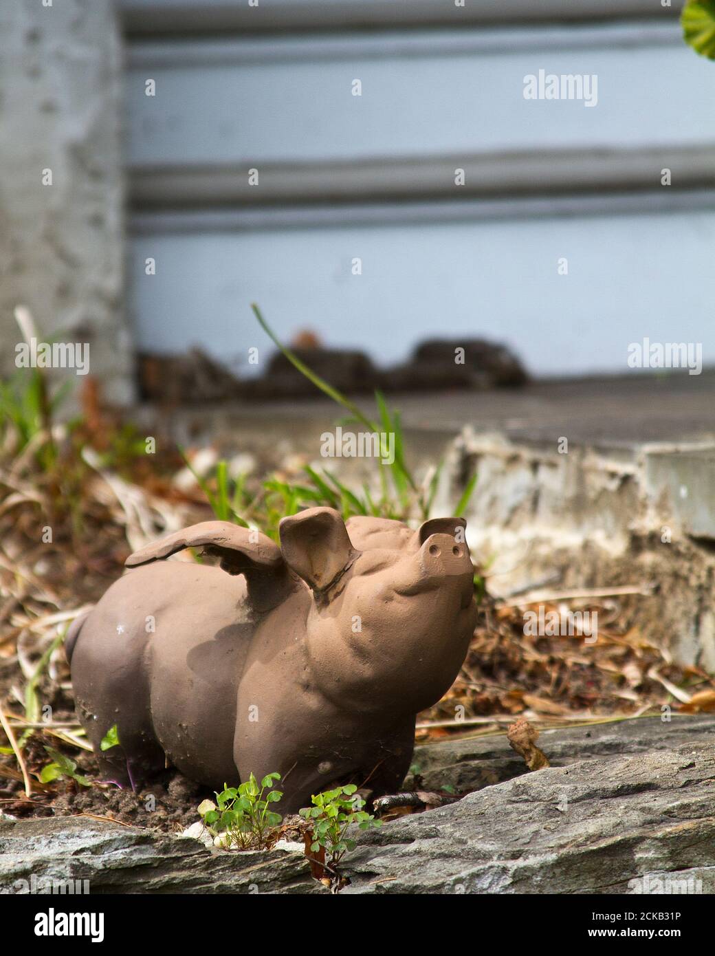 Allison defeo hi-res stock photography and images - Alamy