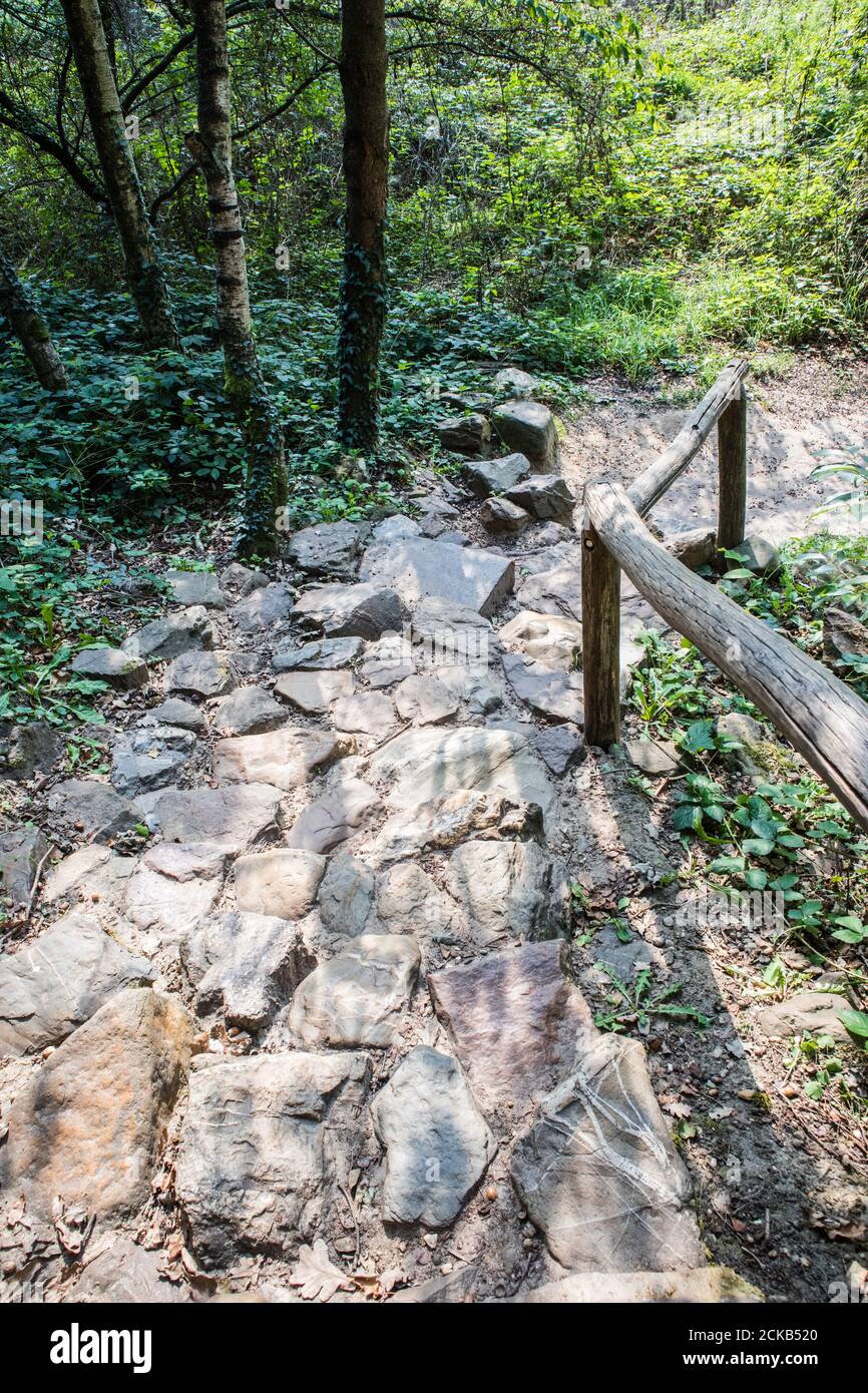 Sunny scenery of a pathway in the forest with rocky ground Stock Photo ...