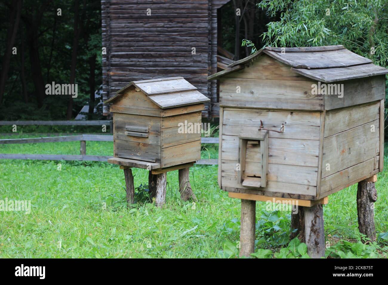 Life in the apiary hi-res stock photography and images - Alamy