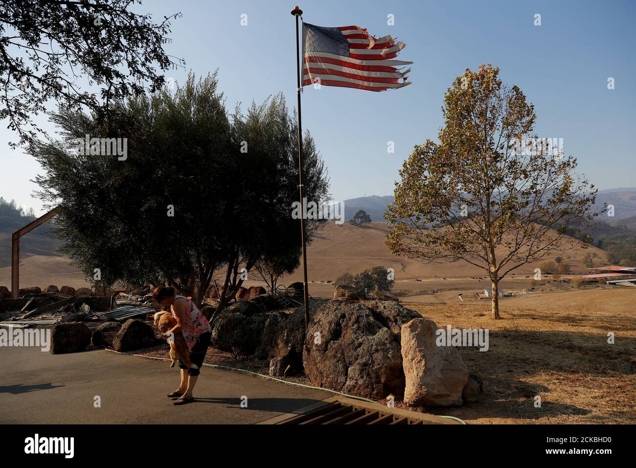 Angus Flag High Resolution Stock Photography and Images - Alamy