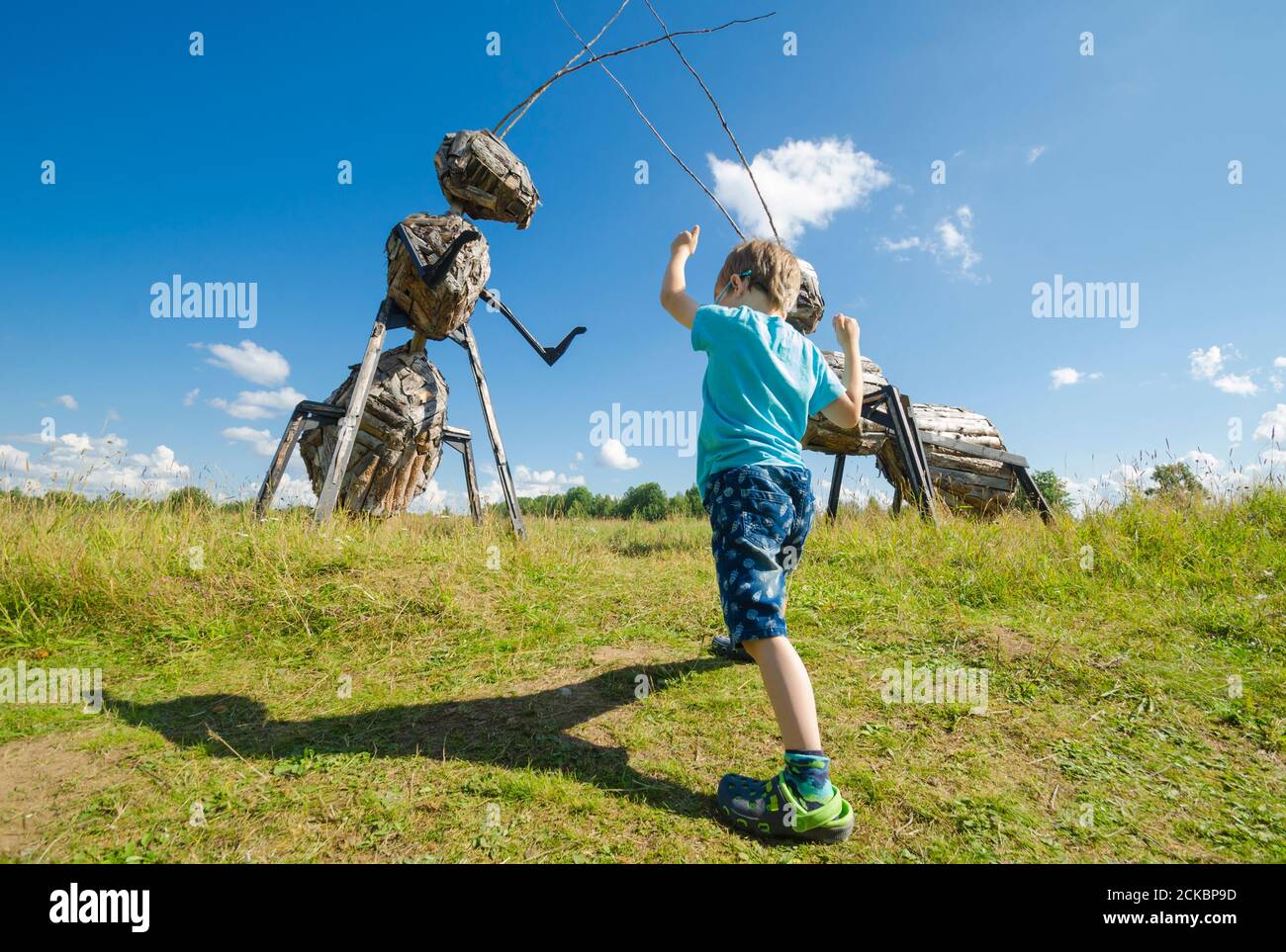 August, 2020 - Morshchinskaya village. Huge ants on the children's ...