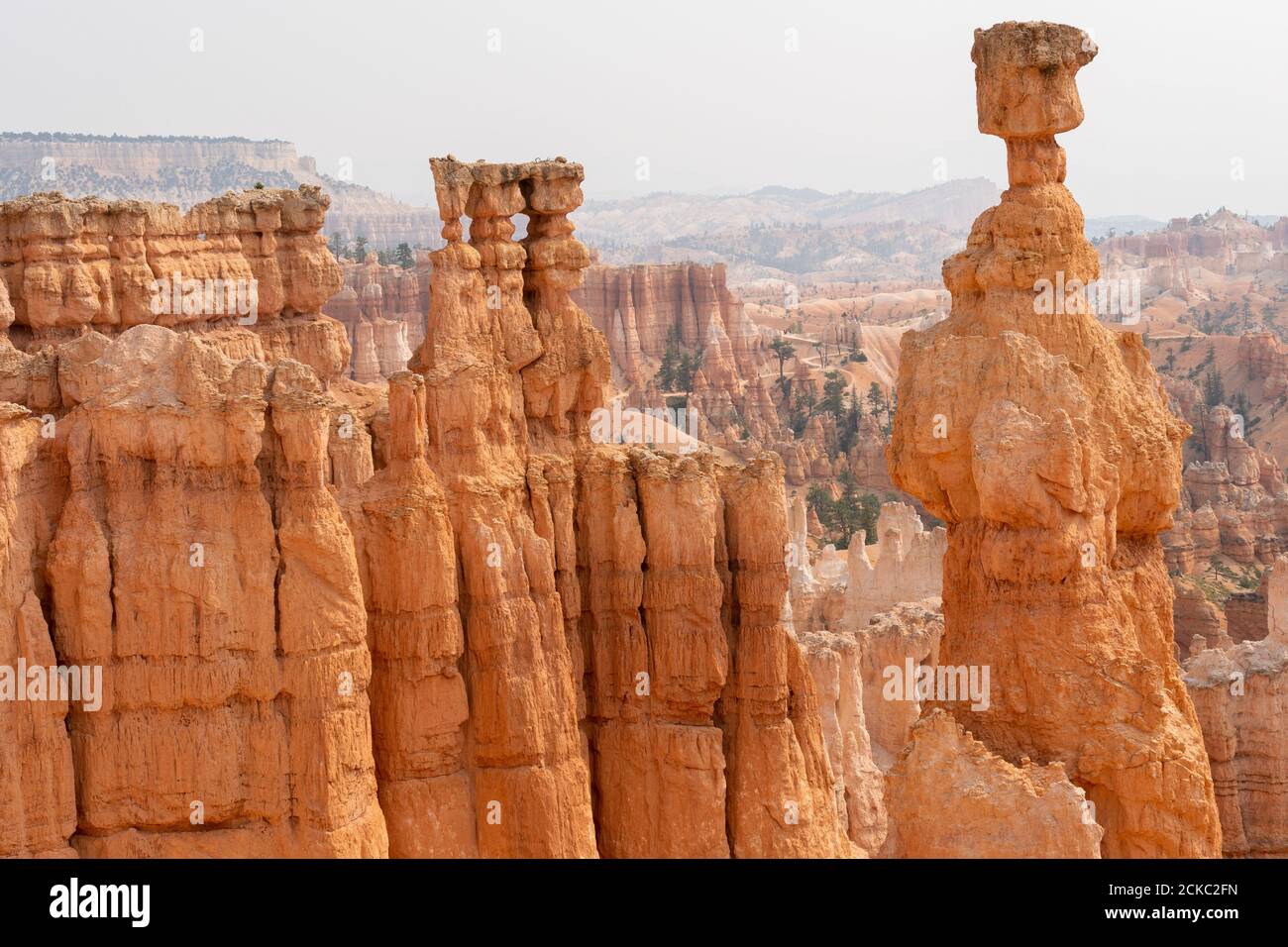 Landscape of the badlands at the Bryce Canyon National Park in Utah ...