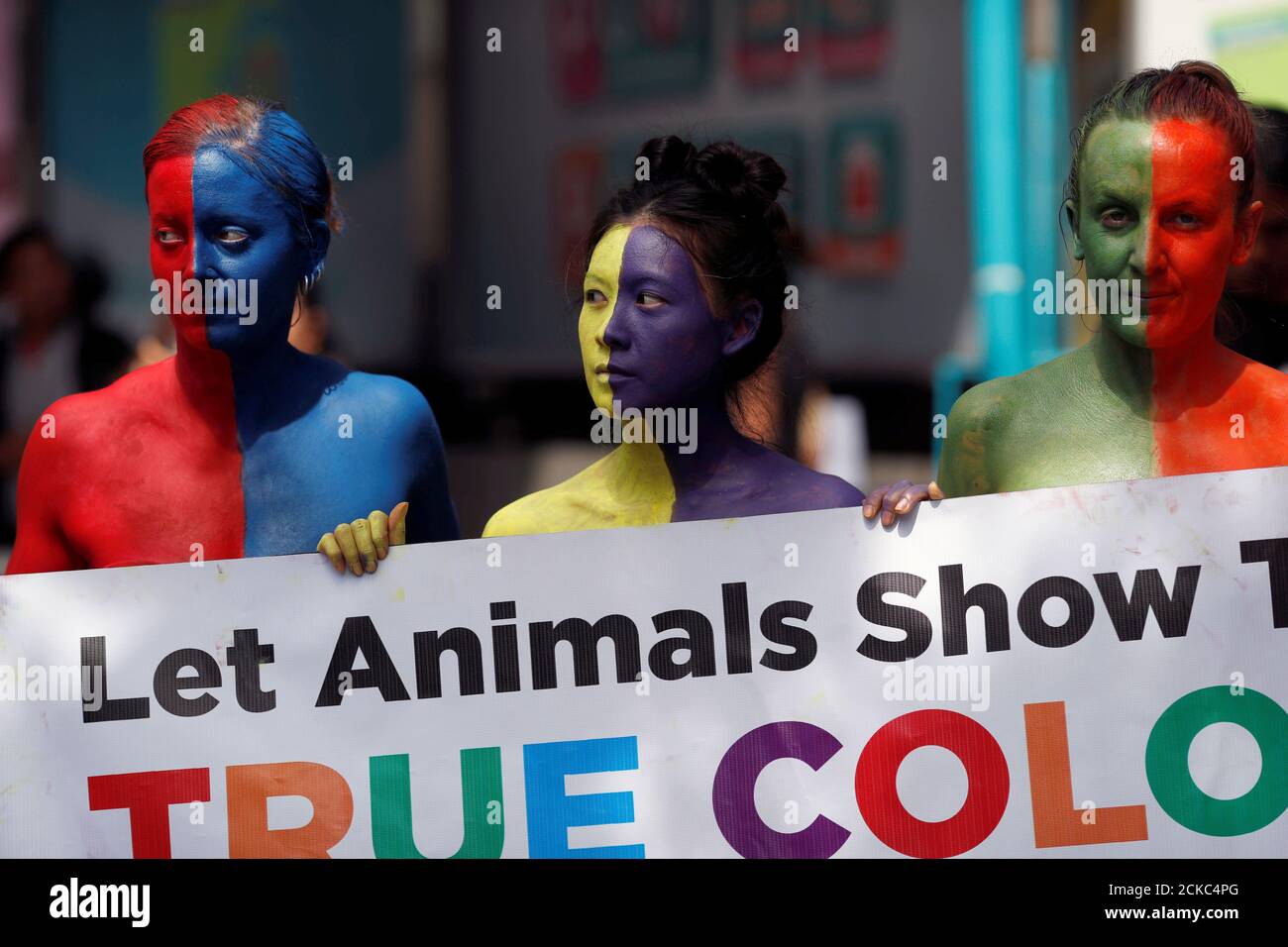 Pata zoo hi-res stock photography and images - Alamy