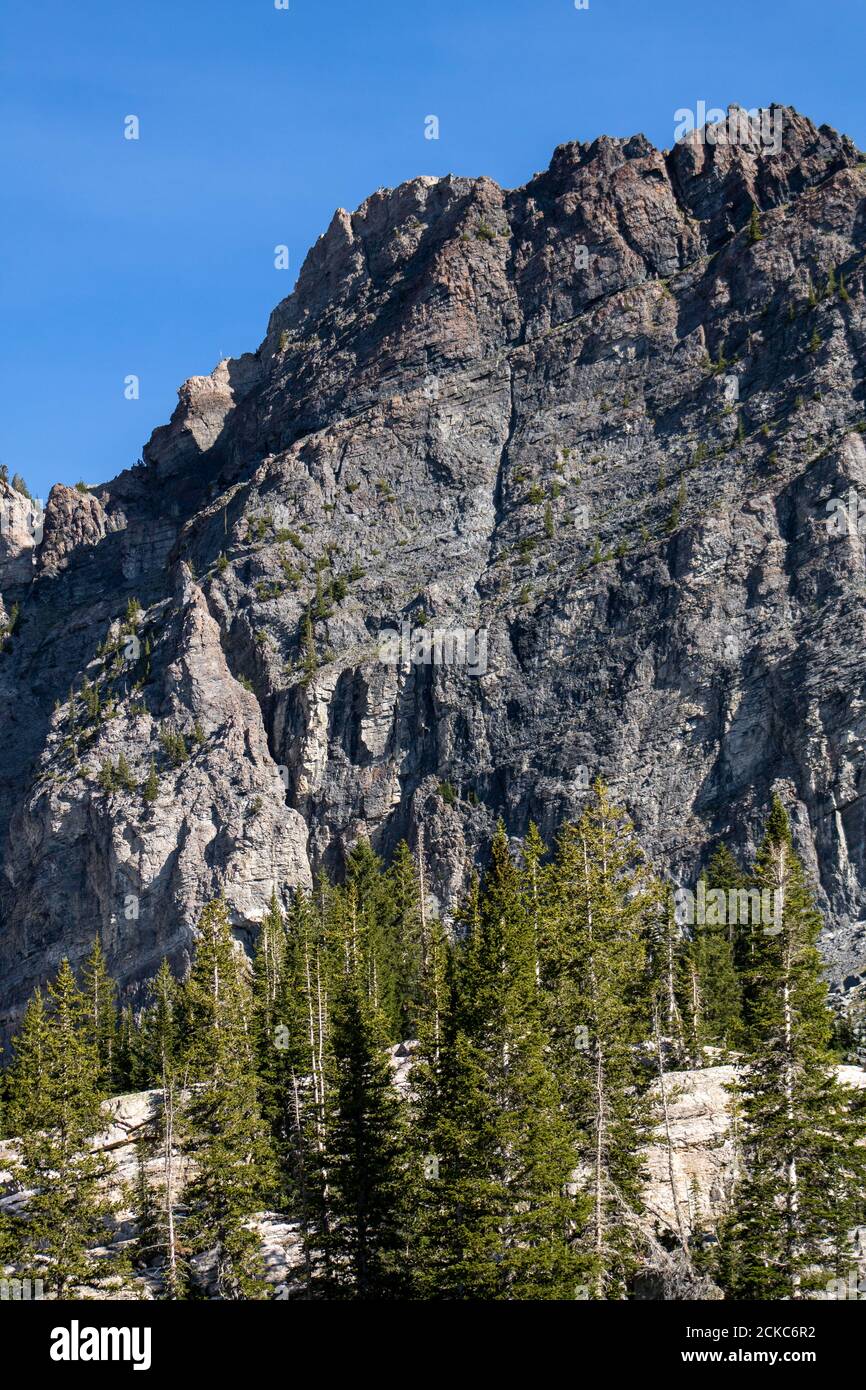 Vertical shot of rocks surrounded by greenery under the sunlight Stock ...