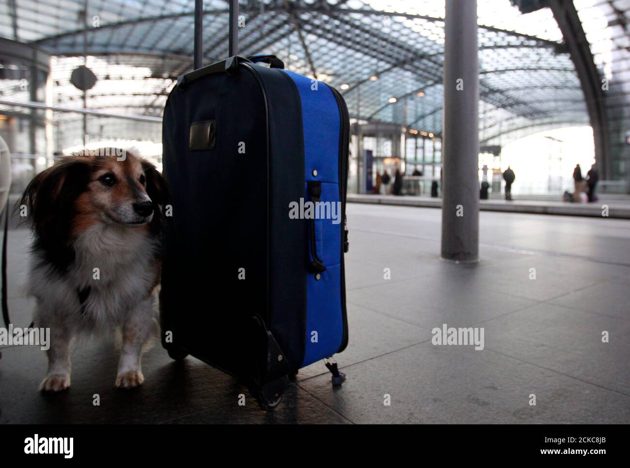 Animal locomotive hi-res stock photography and images - Alamy