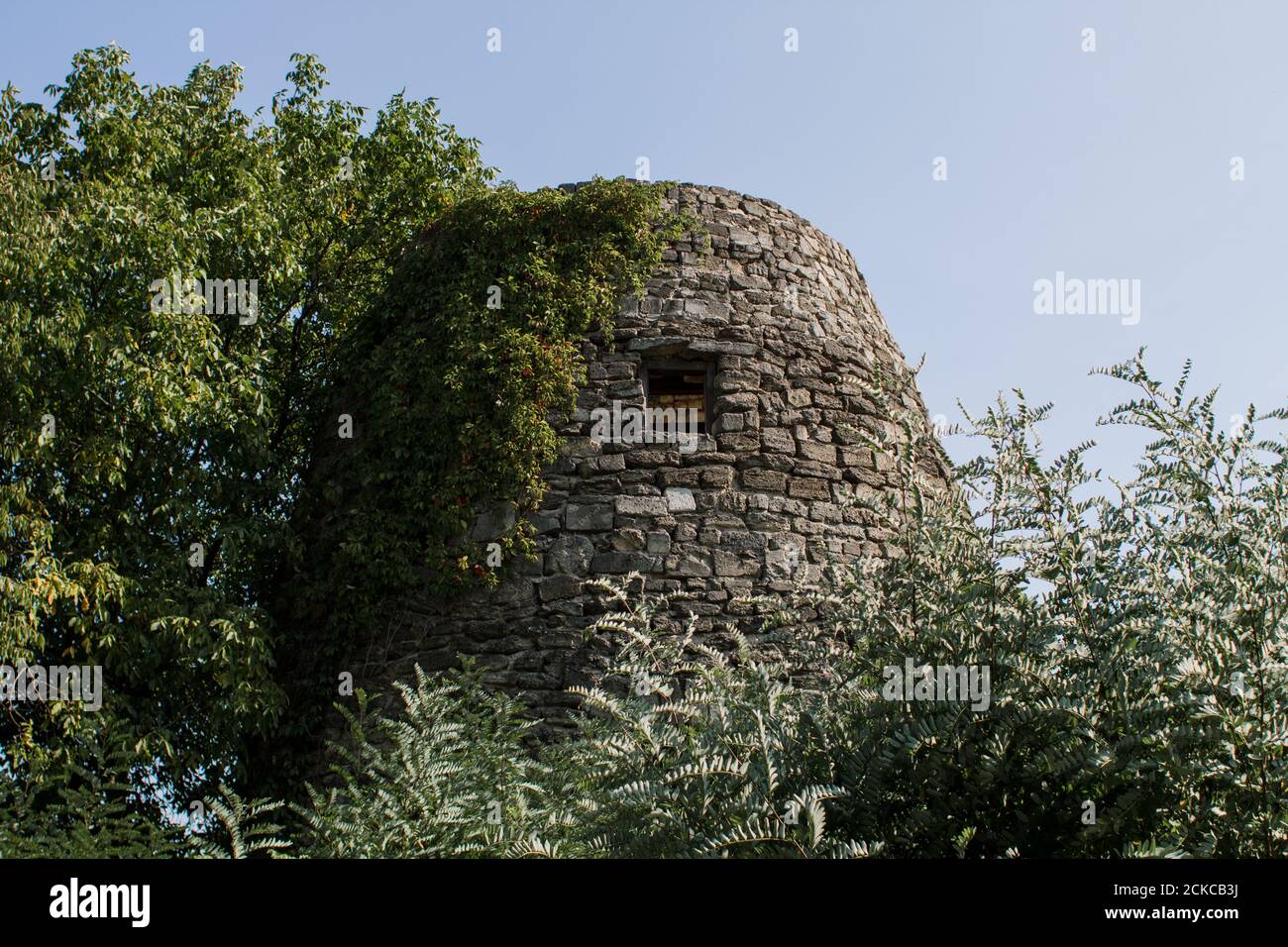 high stone tower with window in the forest Stock Photo - Alamy
