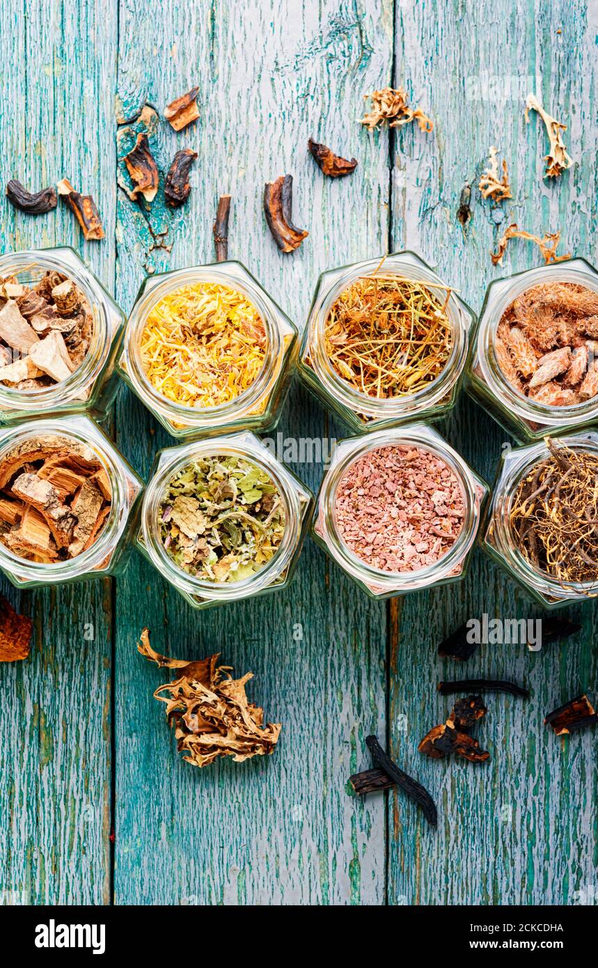 Large assortment of dried medicinal herbs,roots and bark.Ingredients of ...