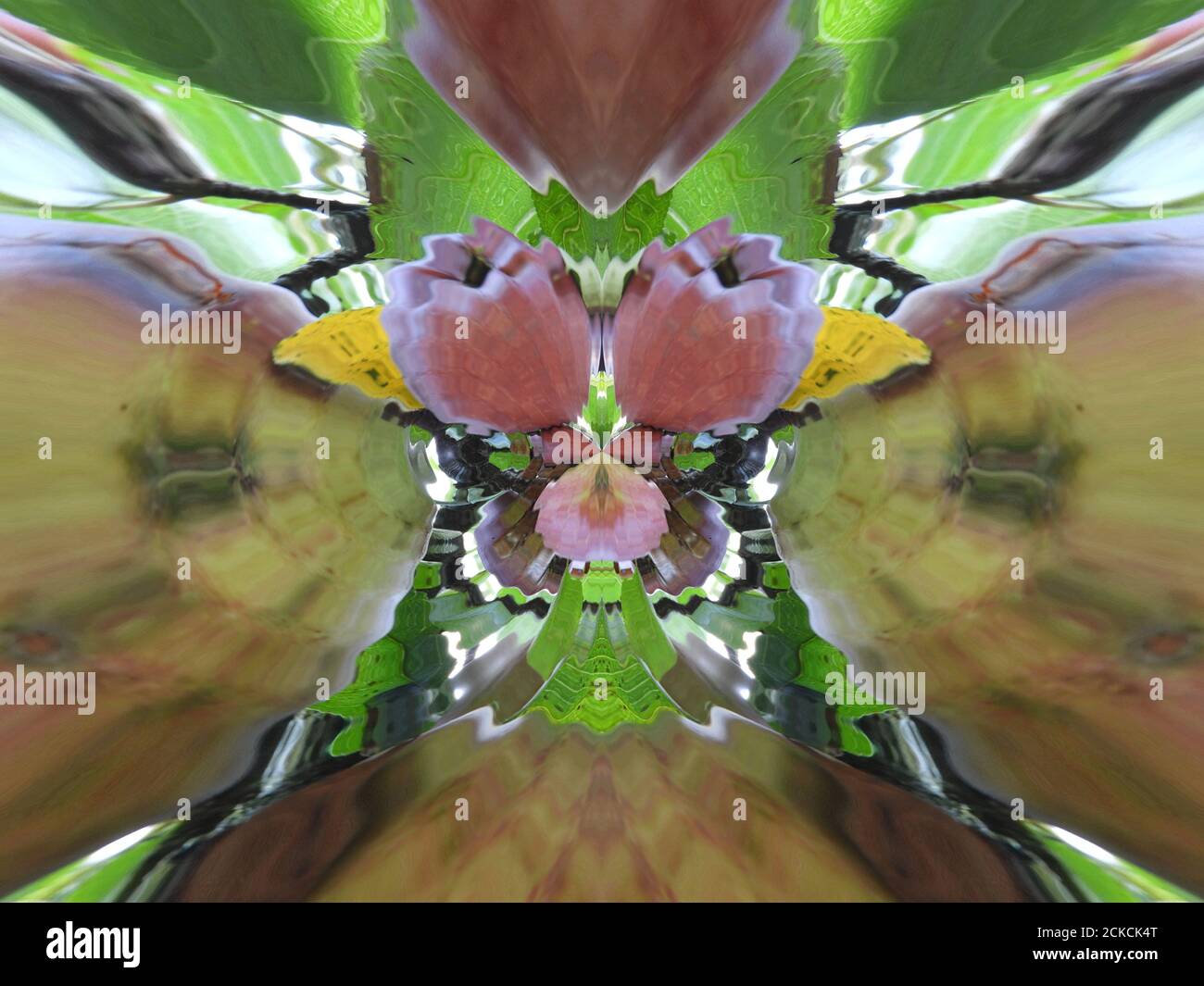 Illustration of nature kaleidoscope pattern as a background Stock Photo ...