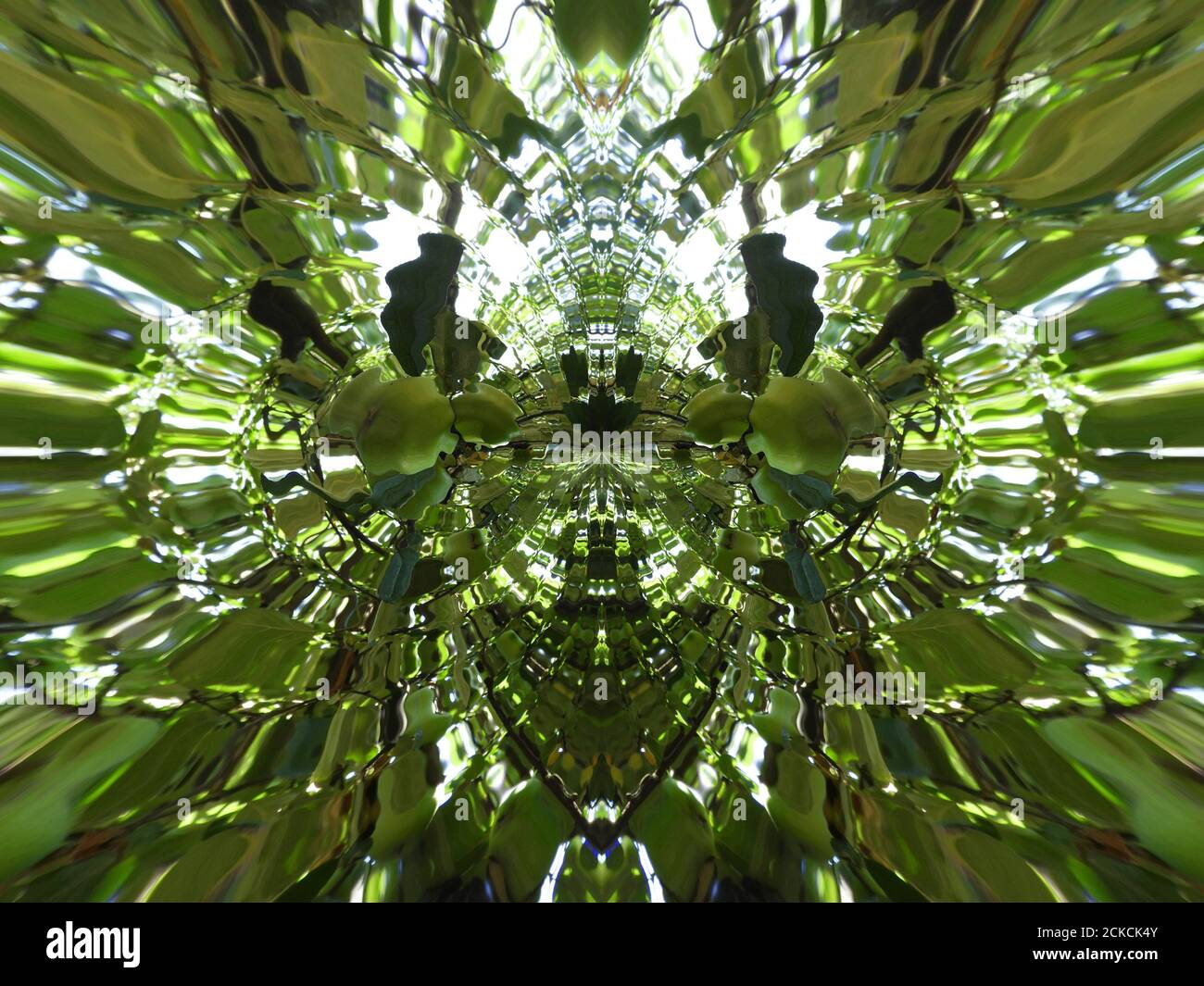 Illustration of nature kaleidoscope pattern as a background Stock Photo ...