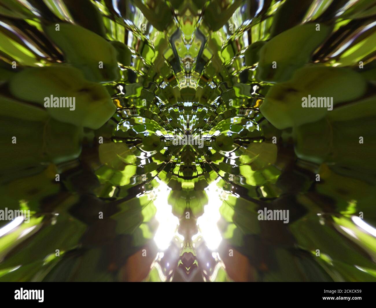 Illustration of nature kaleidoscope pattern as a background Stock Photo ...